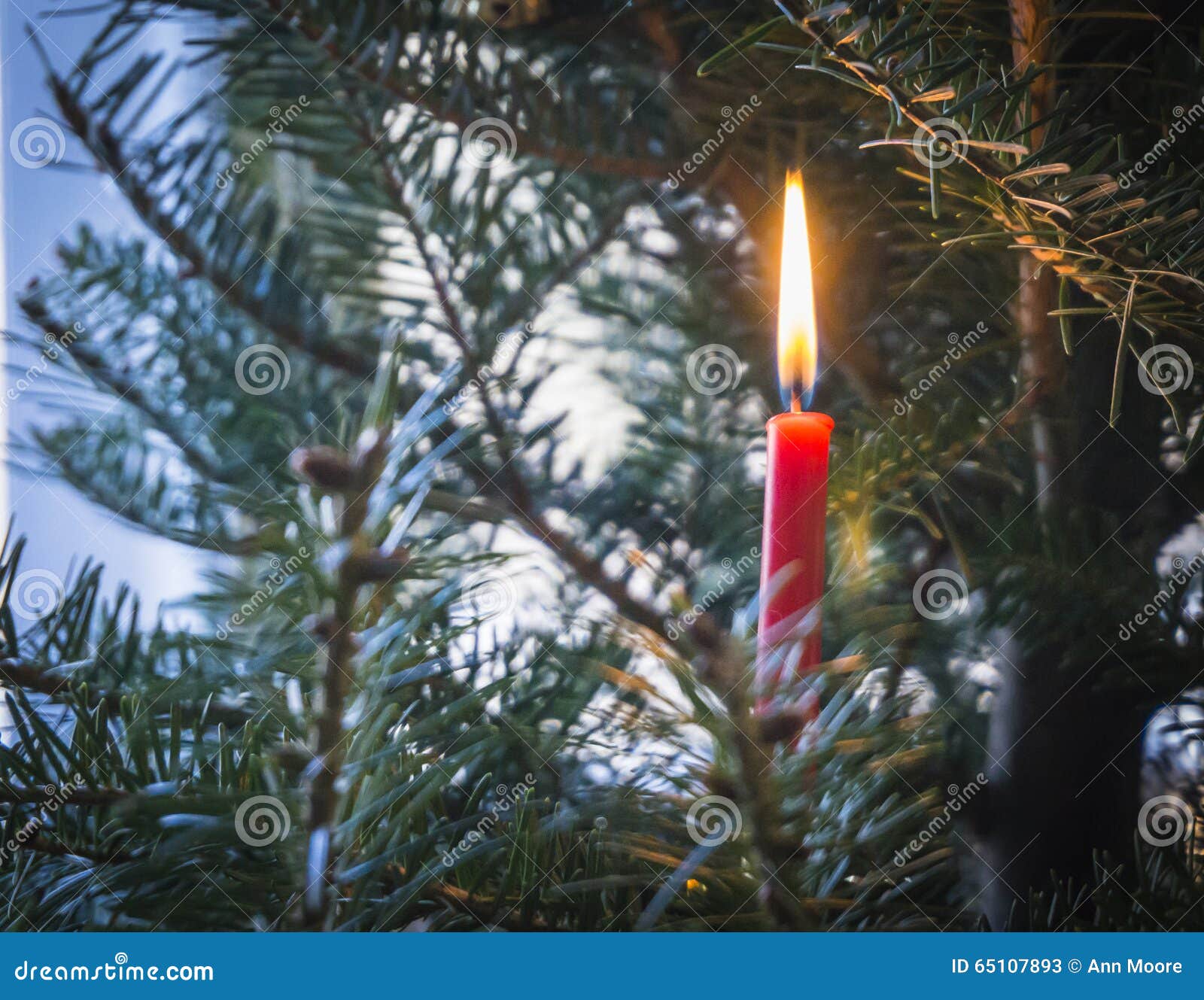 Red lit candle on tree stock image. Image of candle, christmas - 65107893
