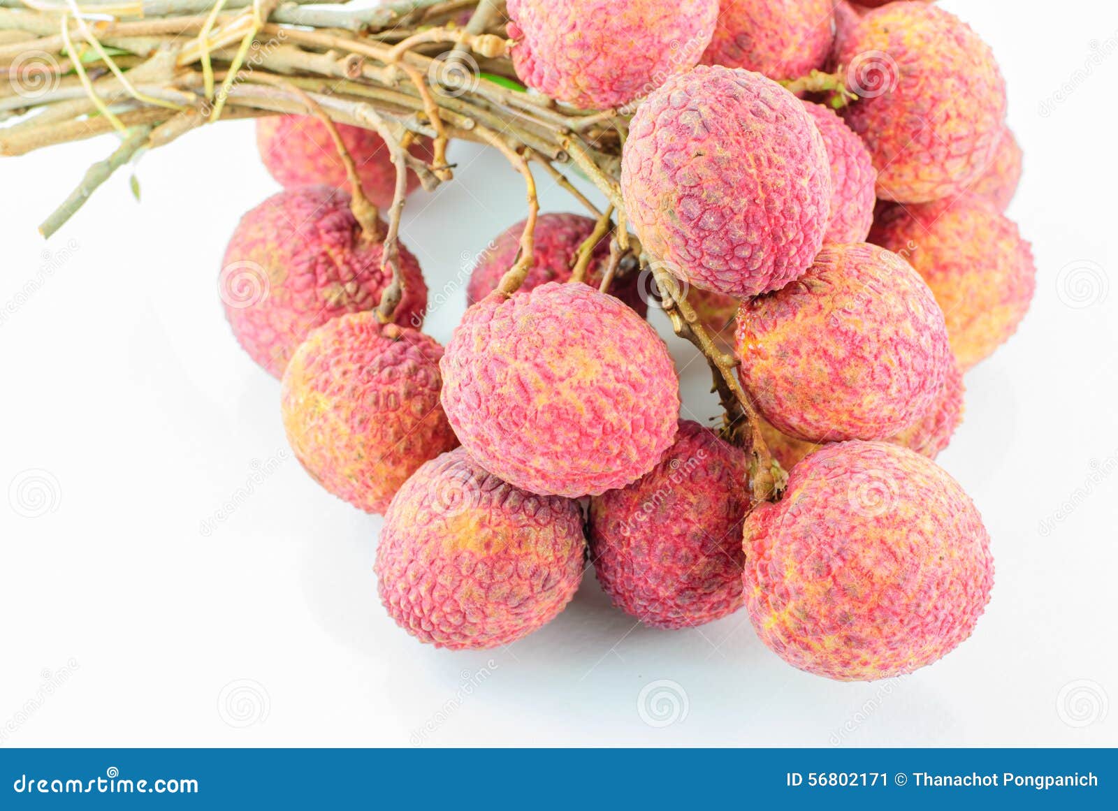 Red Litchi fruit isolated stock image. Image of healthy - 56802171
