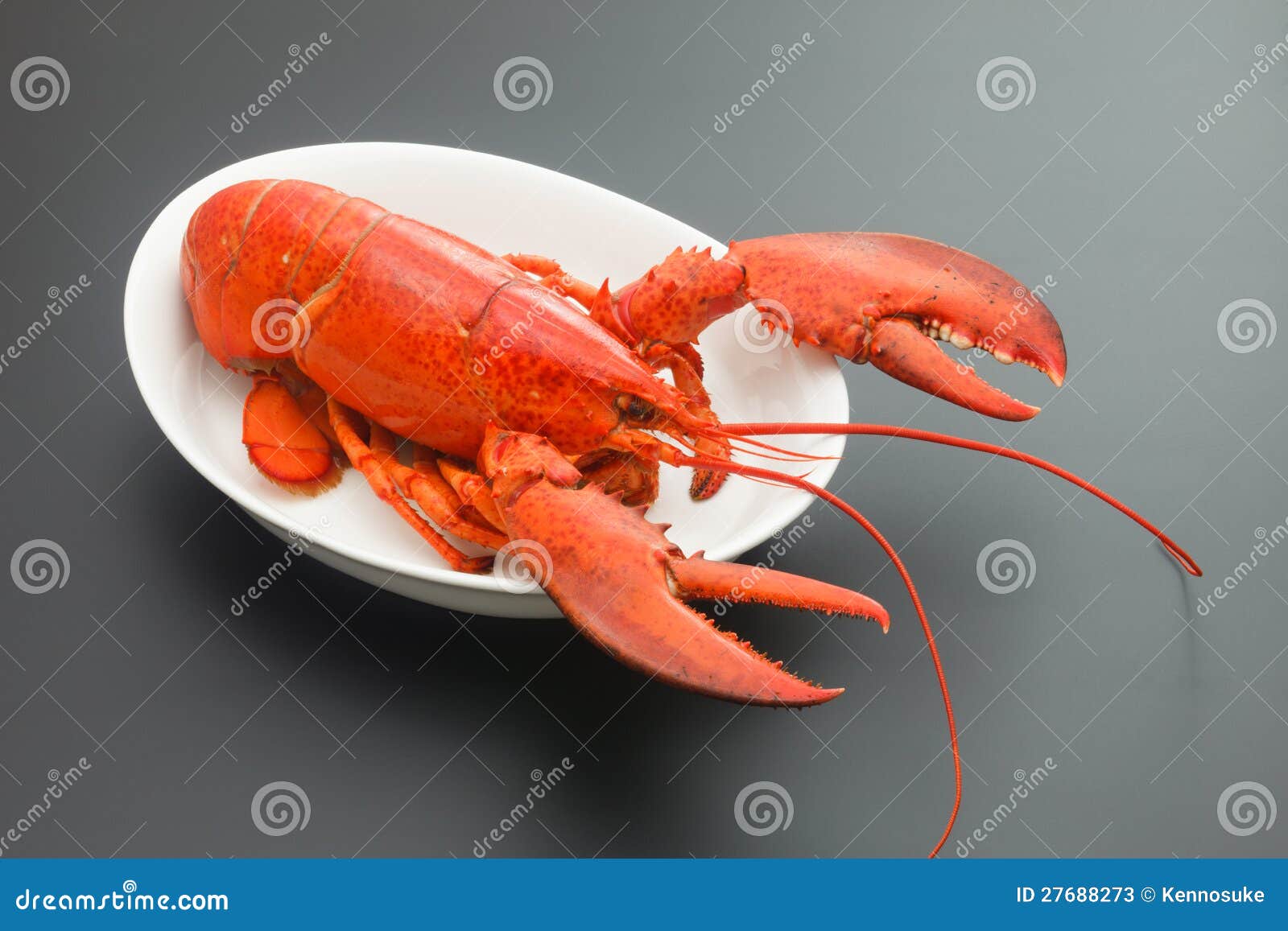 Red Lobster stock image. Image of crustacean, seafood - 27688273