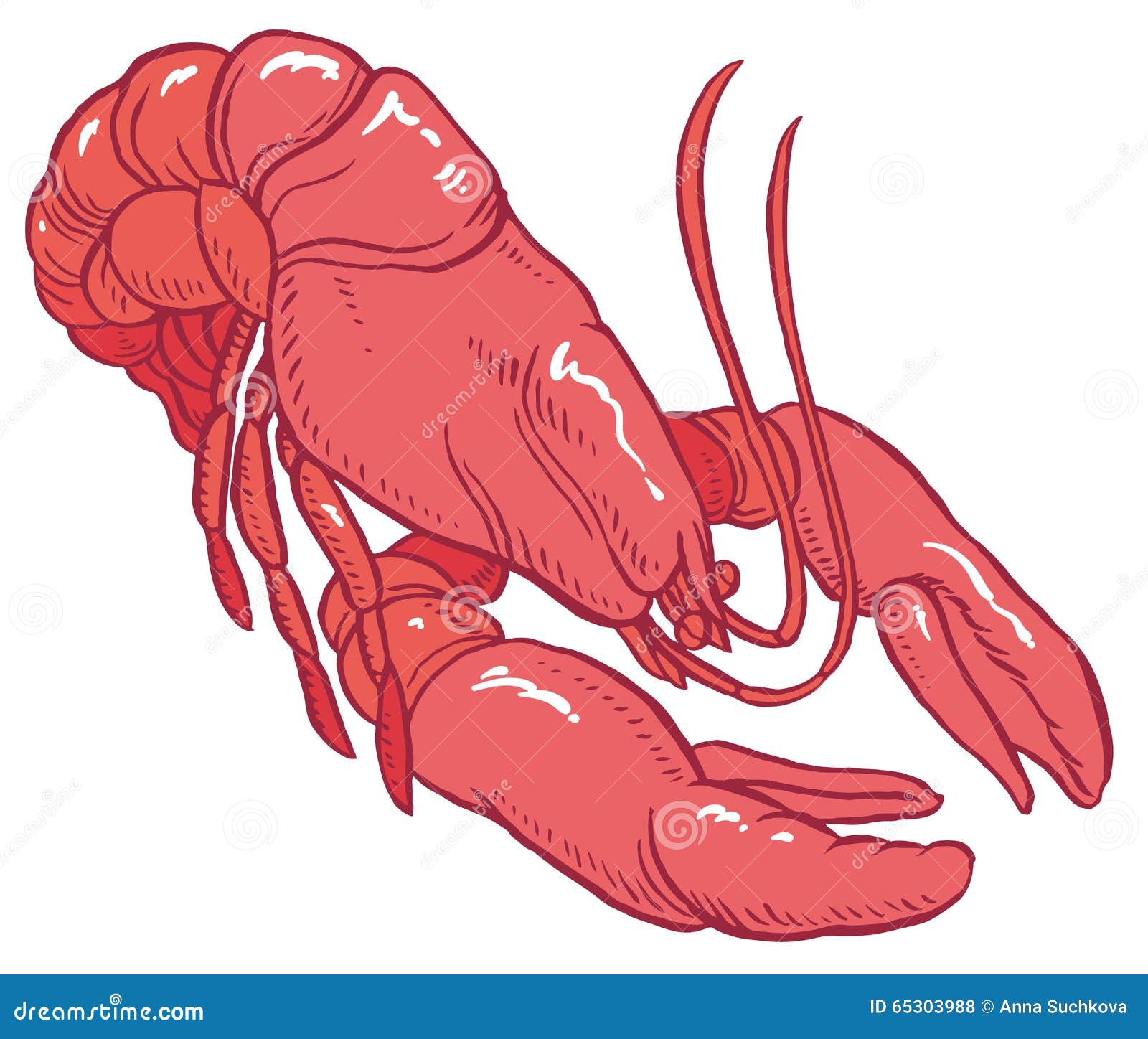 Red lobster vector drawing stock vector. Illustration of crayfish ...