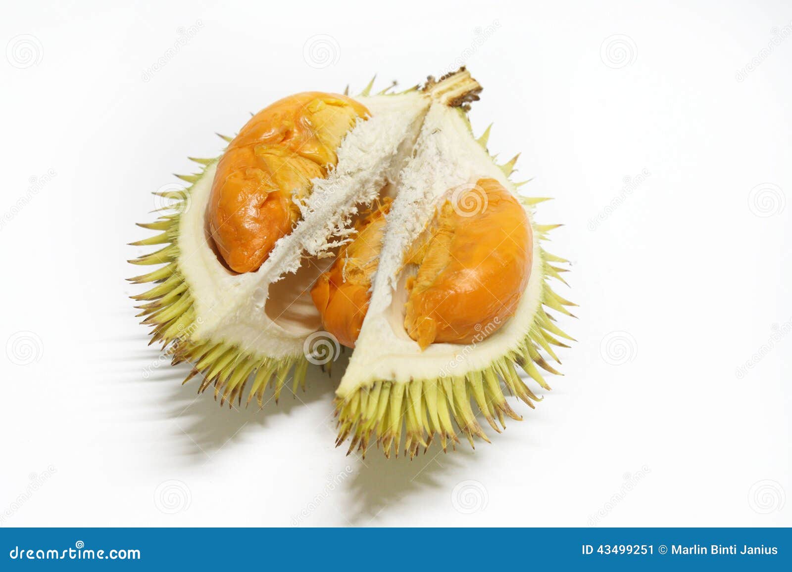 Red local durian dalit stock image. Image of spiky, texture - 43499251