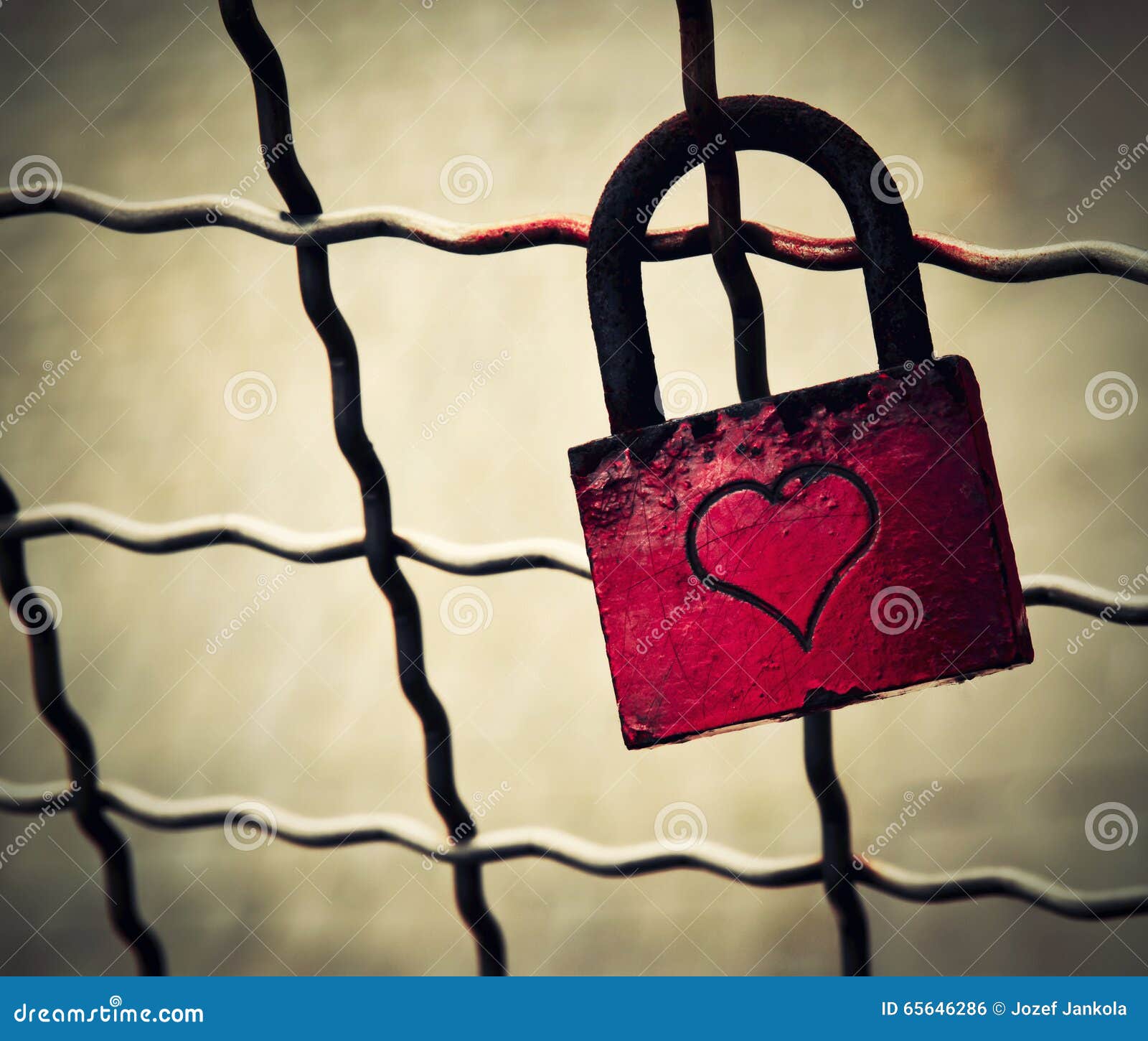 Red Lock Locked on the Fence Stock Photo - Image of padlock, concept ...