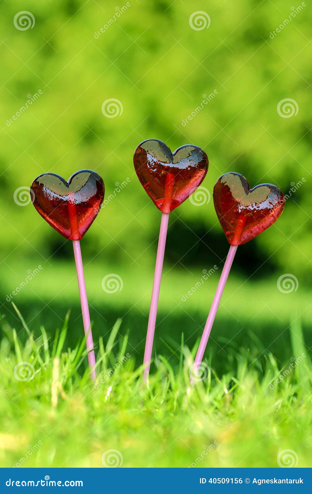 Red Lollipops in Heart Shape Stock Photo - Image of grass, candy: 40509156