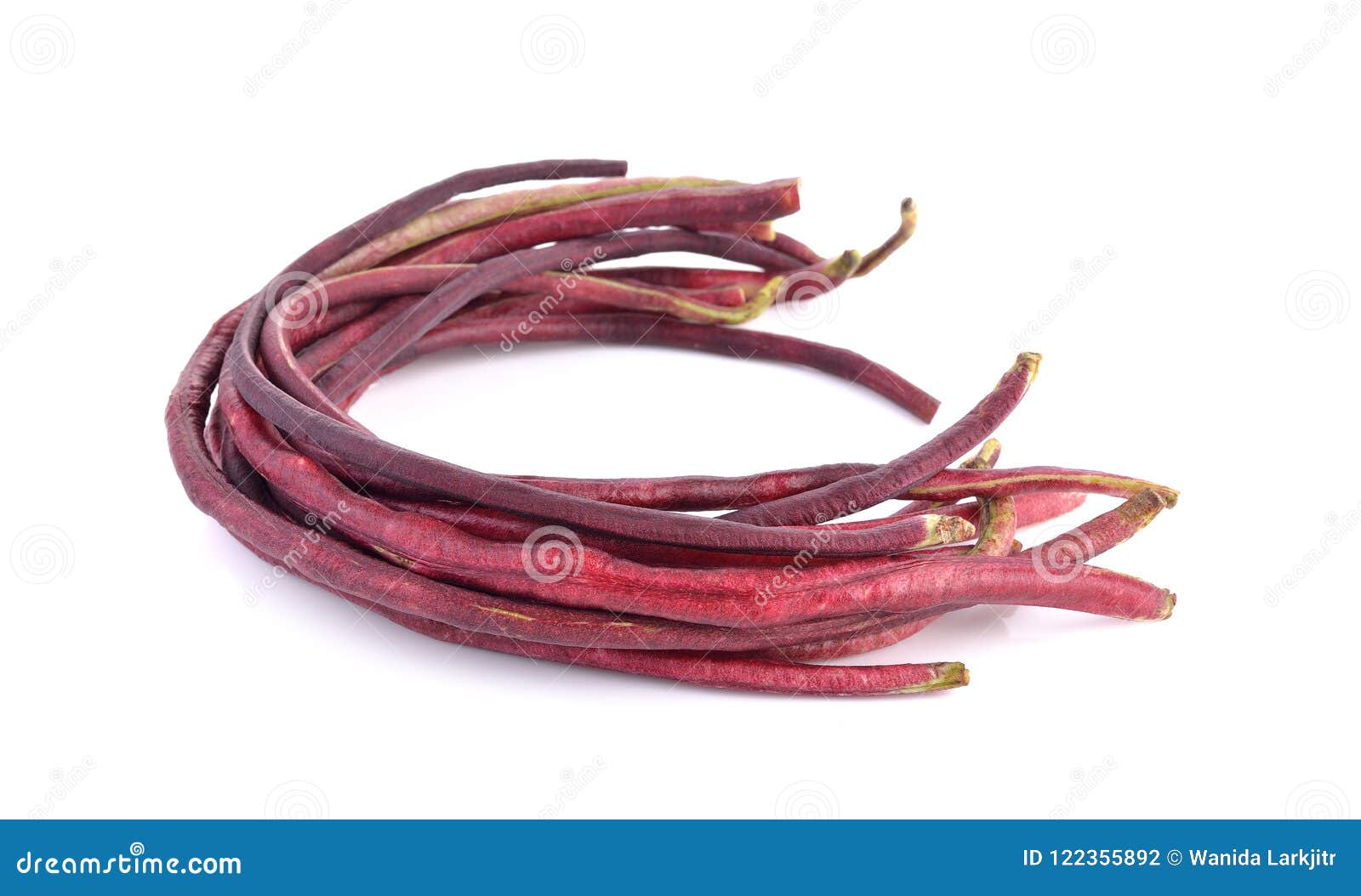Red Long Bean on White Background Stock Photo - Image of healthy, food ...
