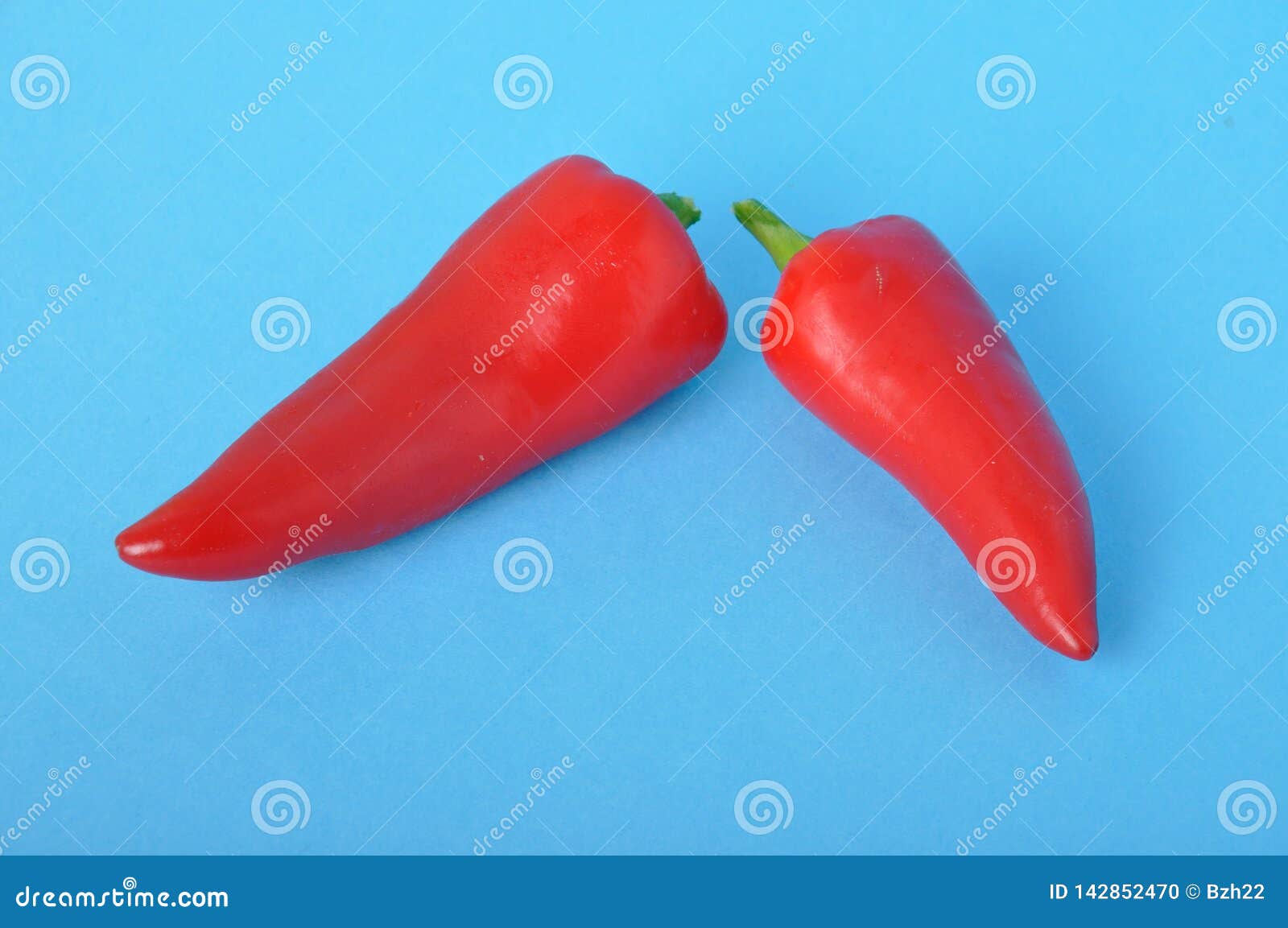 Red Long Pepper on Blue Bacground Stock Photo - Image of freshness ...