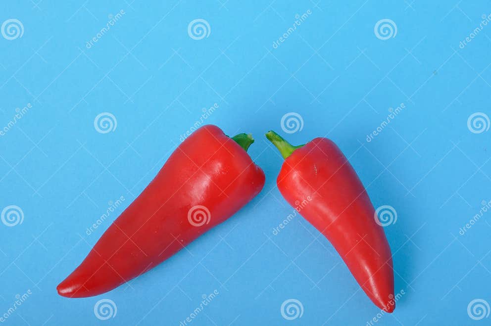 Red Long Pepper on Blue Bacground Stock Photo - Image of colour, studio ...