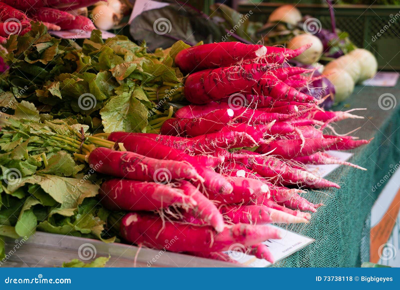 Red Long Radish Close Up stock photo. Image of food, spring - 73738118