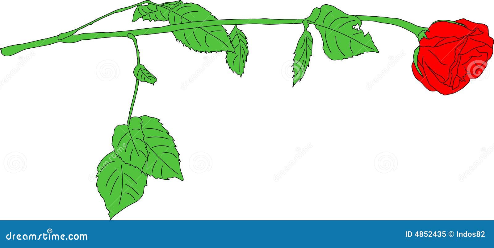 Red Long Stemmed Rose stock vector. Illustration of hybrid - 4852435