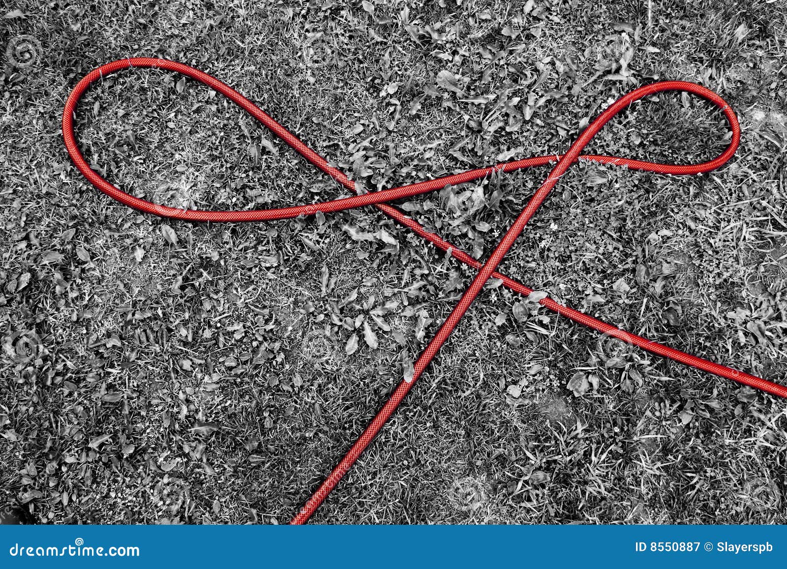 Red loop stock image. Image of concepts, rope, plastic - 8550887