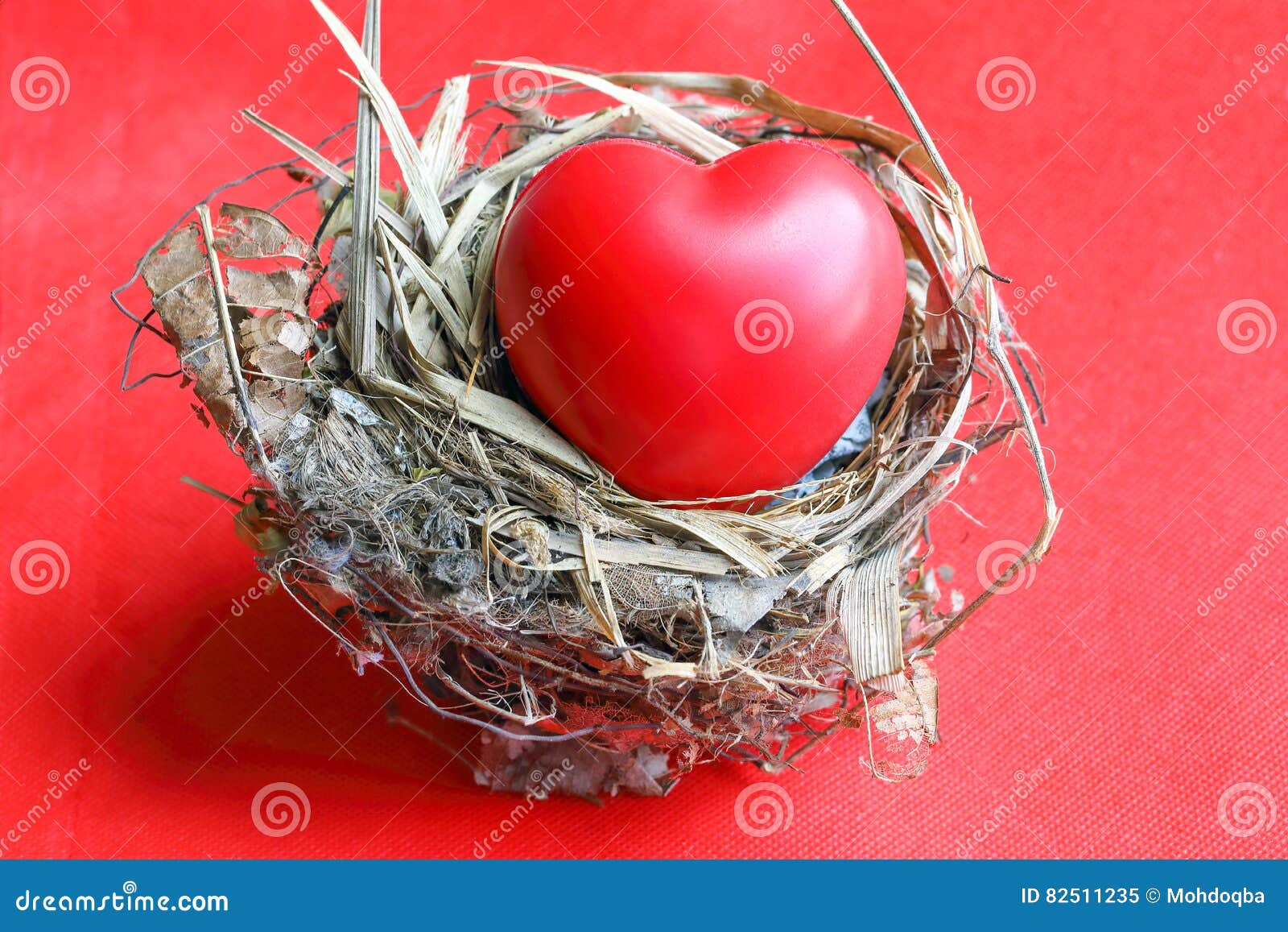 Red Love hart in bird nest stock image. Image of nest - 82511235