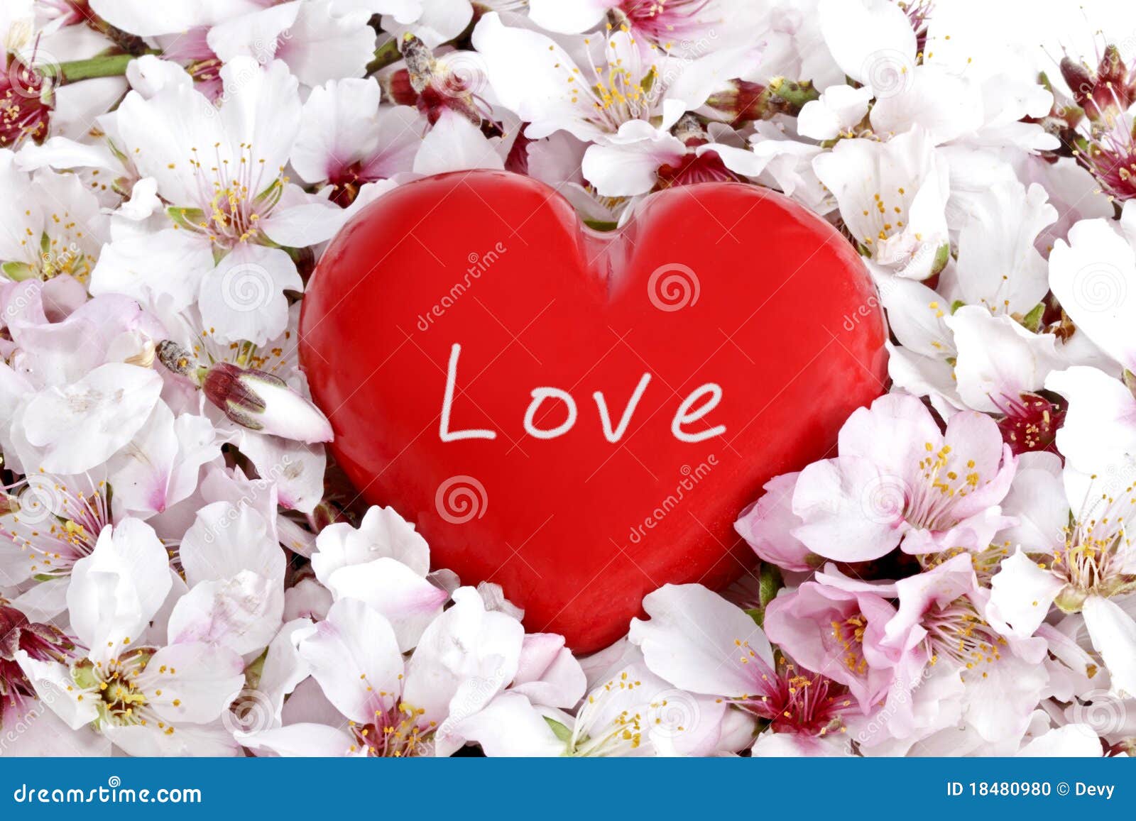 Red Love Heart stock photo. Image of almond, tree, passion - 18480980