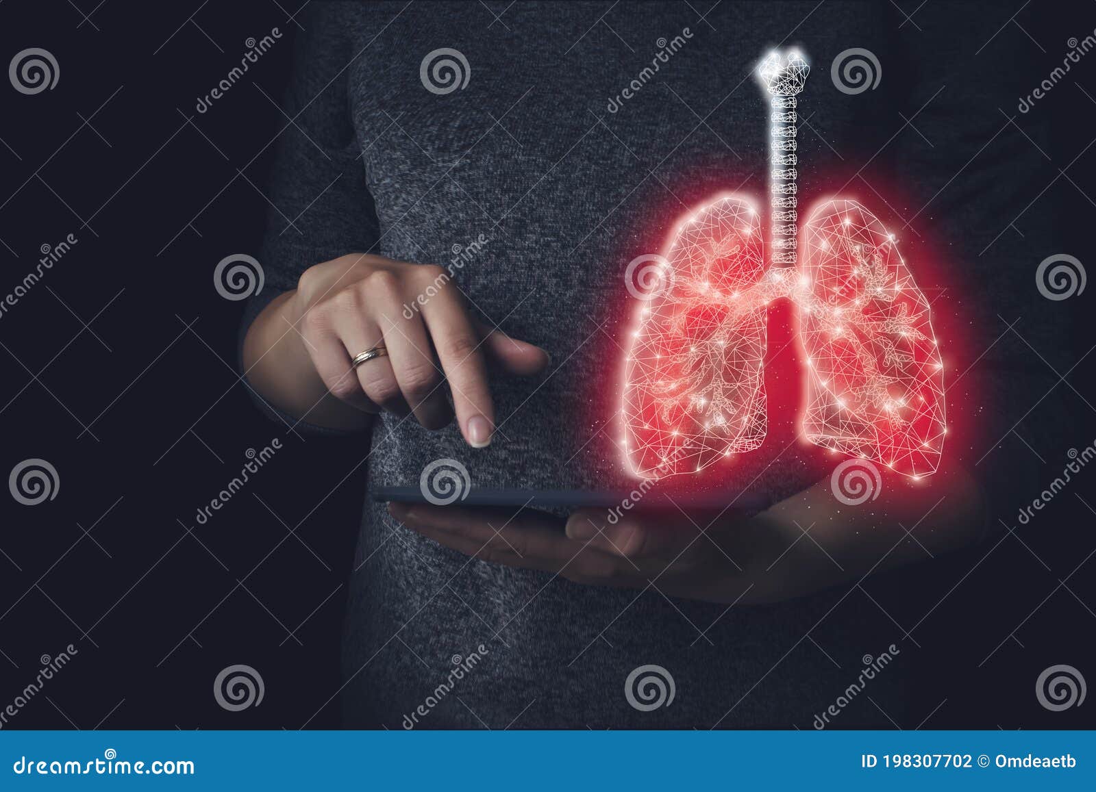 Red Low Poly Human Lungs on a Black Background. Abstract Anatomy Organ ...