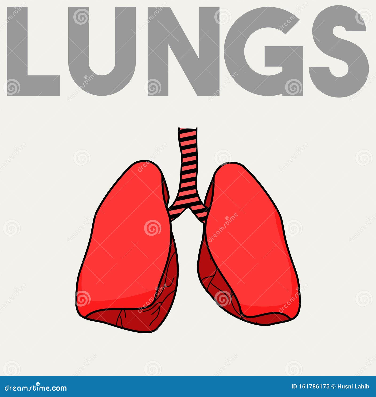 Red Lungs icon vector stock vector. Illustration of digital - 161786175