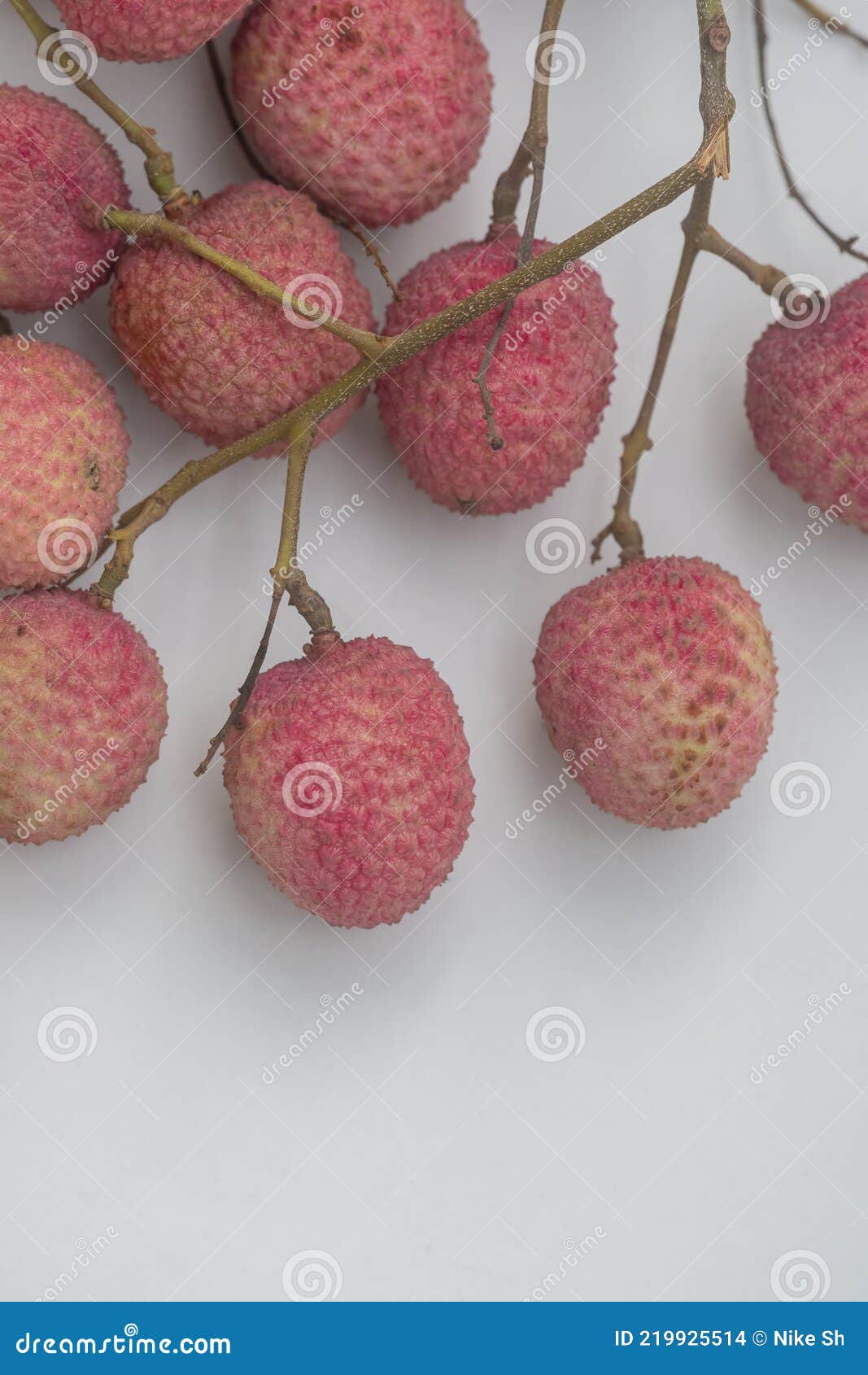 Red Lychees stock photo. Image of tree, exotic, white - 219925514