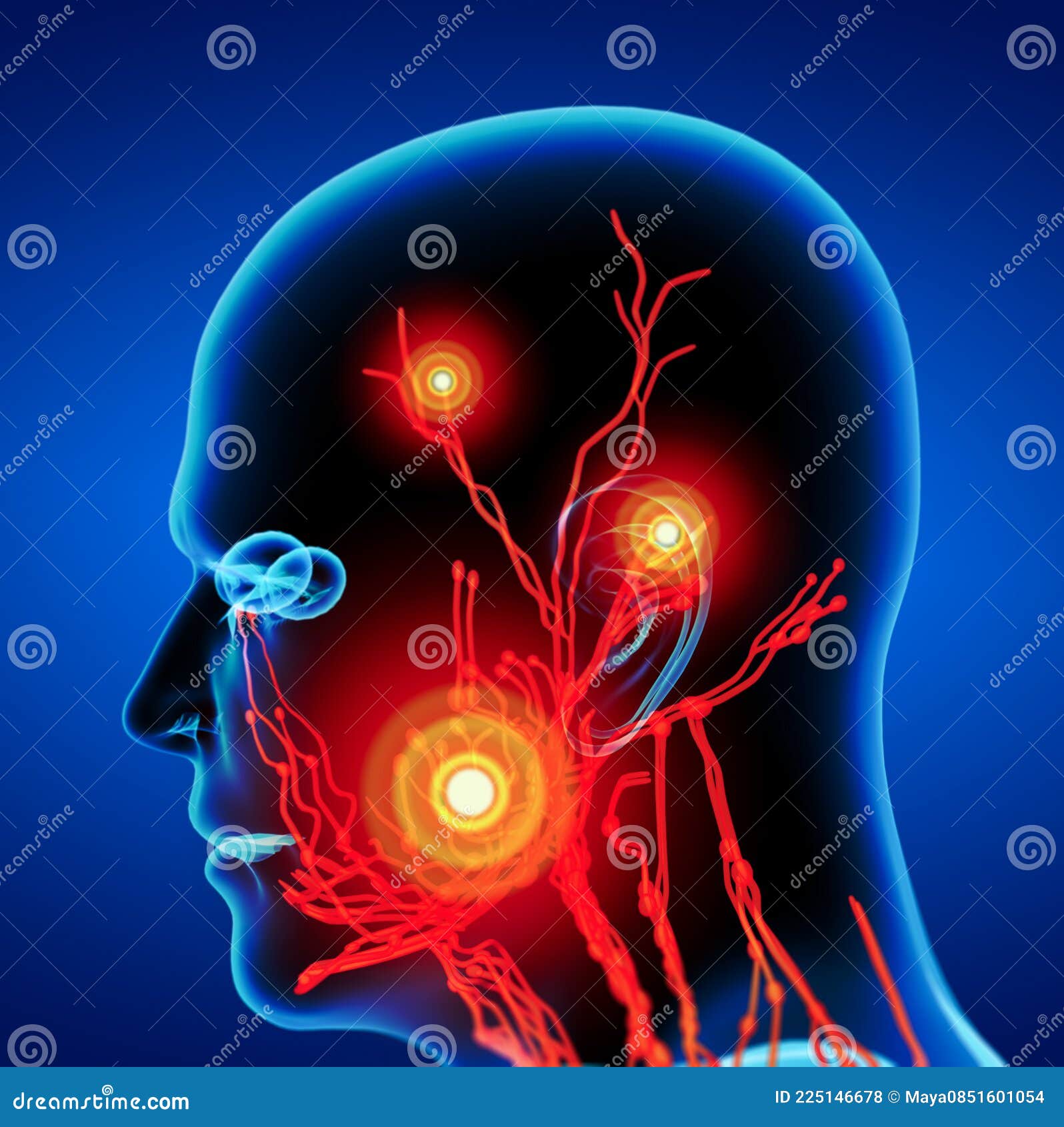 3D Rendering Illustration of Lymphatic System Stock Illustration ...