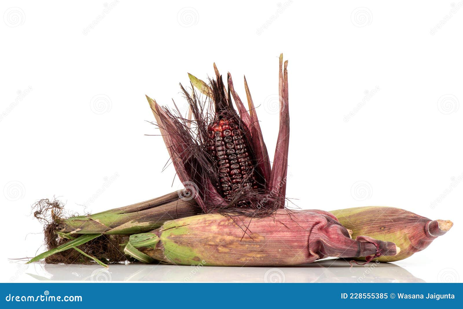 Red Maize or Corn Fruits and Seeds Isolated on White Surface Stock ...