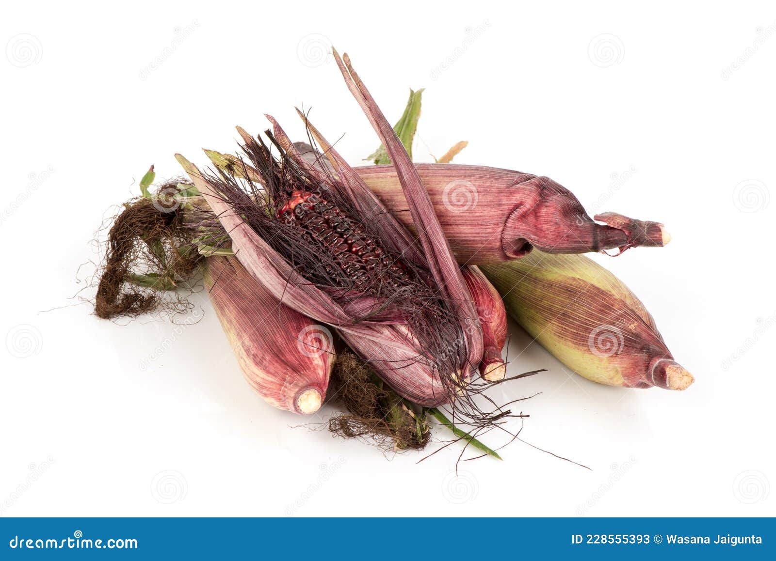 Red Maize or Corn Fruits and Seeds Isolated on White Surface Stock ...