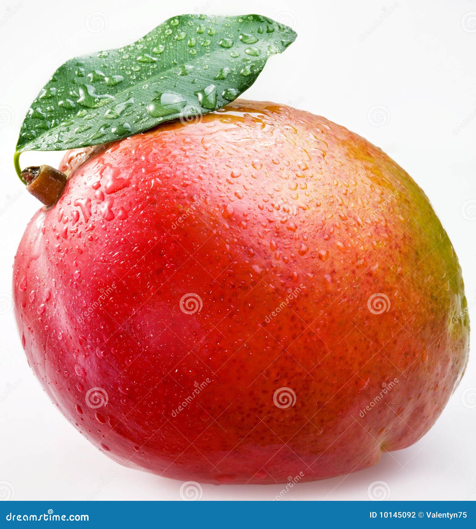 Red mango stock photo. Image of gourmet, juicy, leaf - 10145092