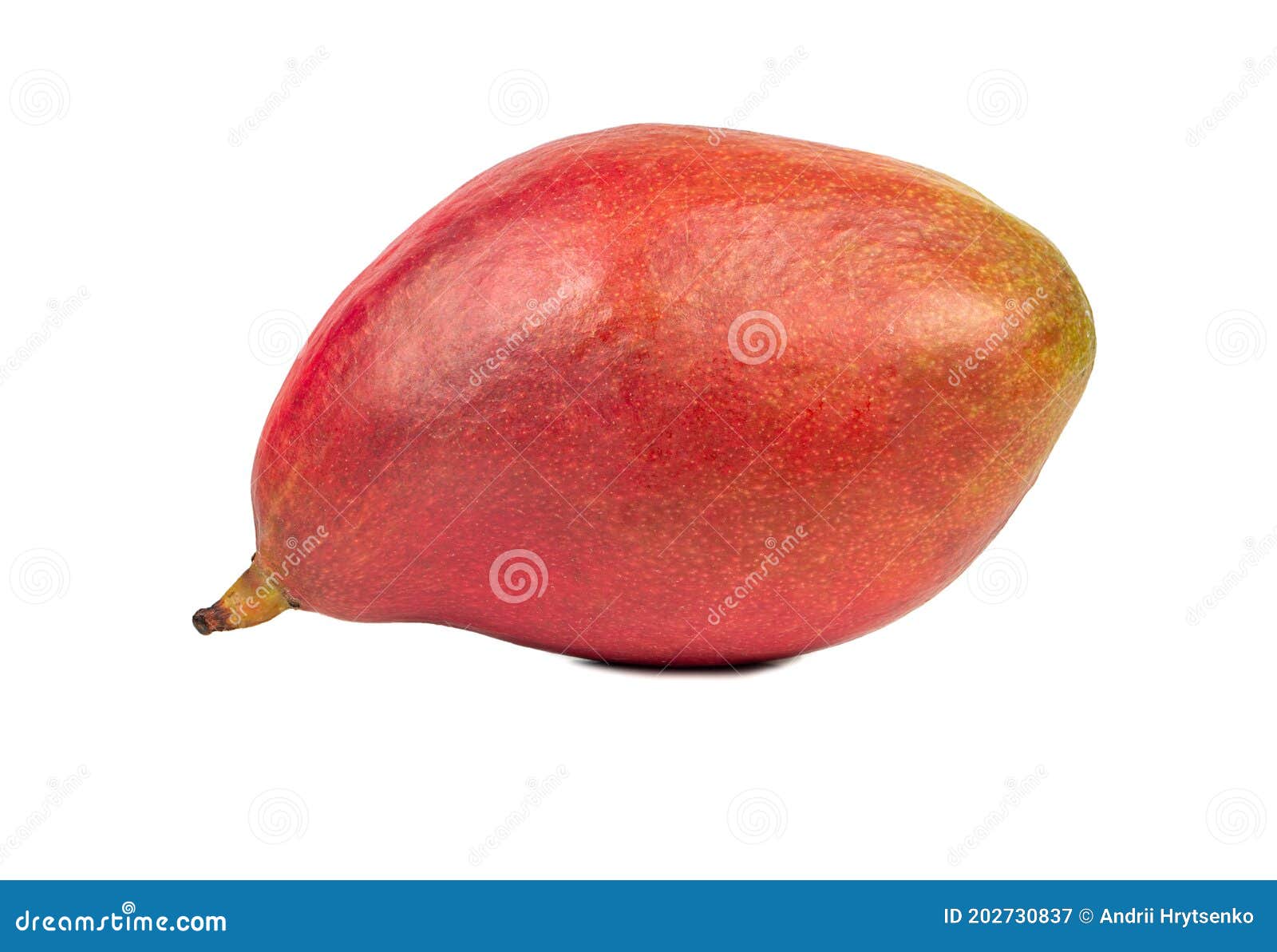 Red mango fruit stock image. Image of organic, background - 202730837