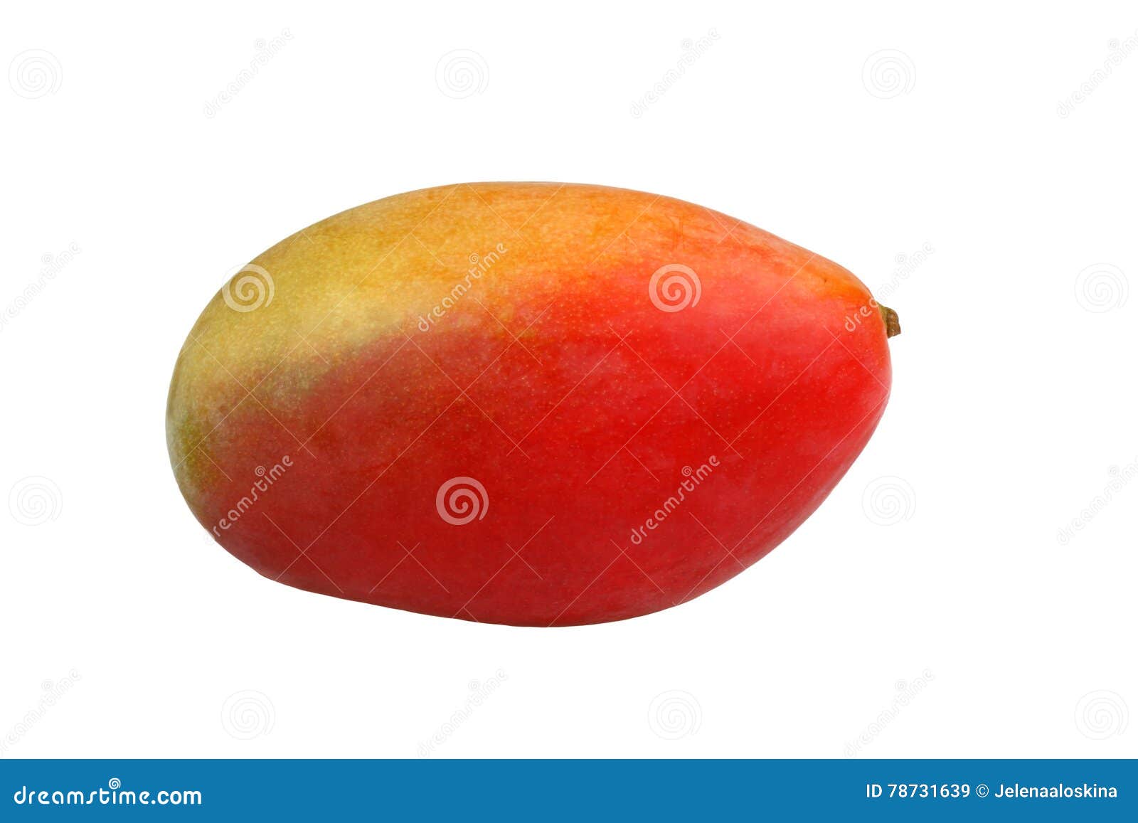 Red mango fruit stock image. Image of healthy, diet, perfect - 78731639