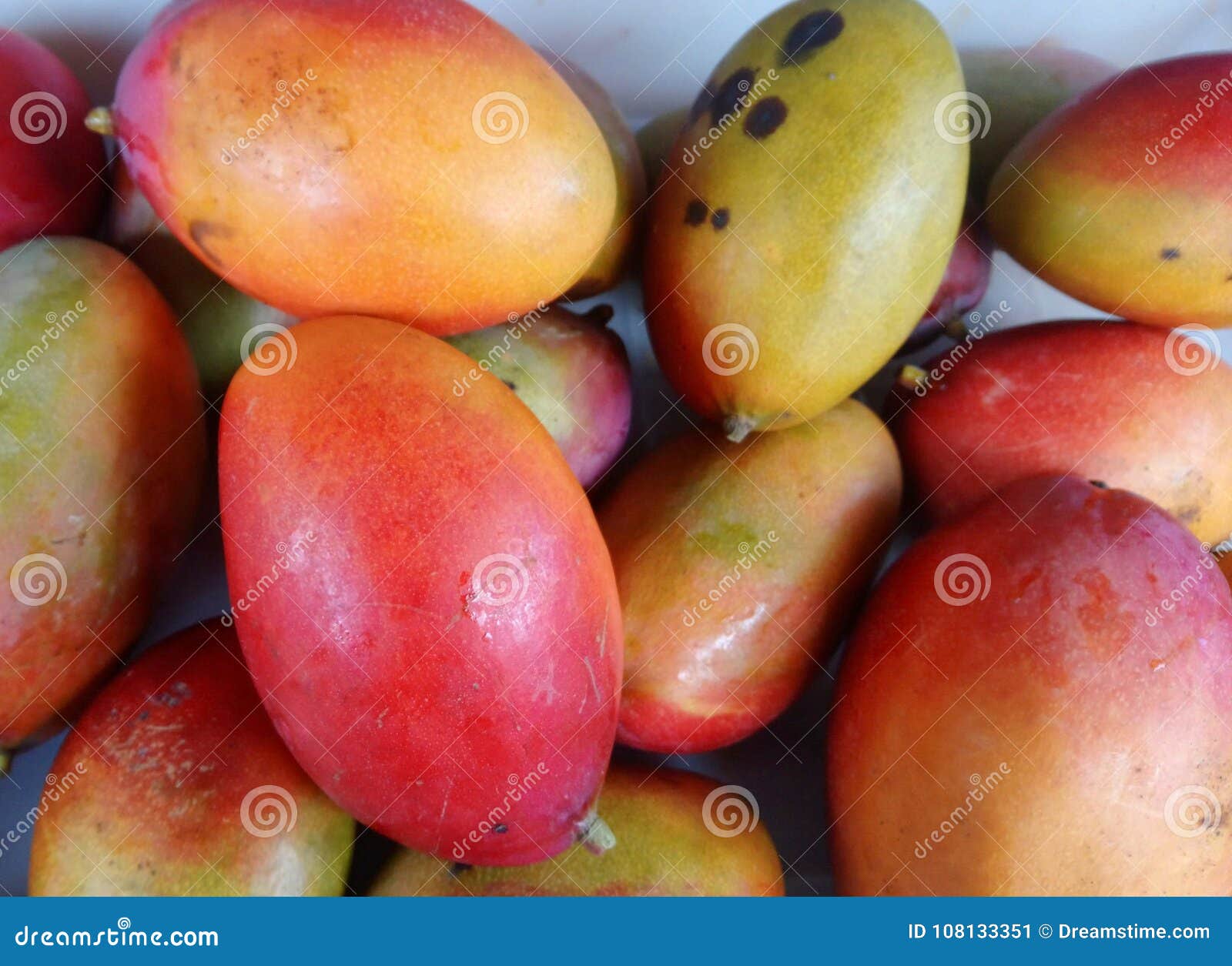 A red mango stand stock image. Image of mango, delicious - 108133351