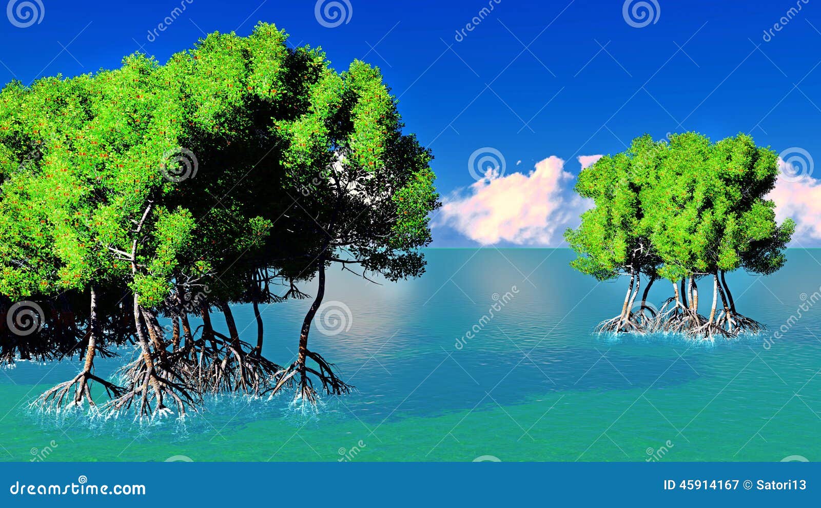 Red mangroves stock illustration. Illustration of pastoral - 45914167