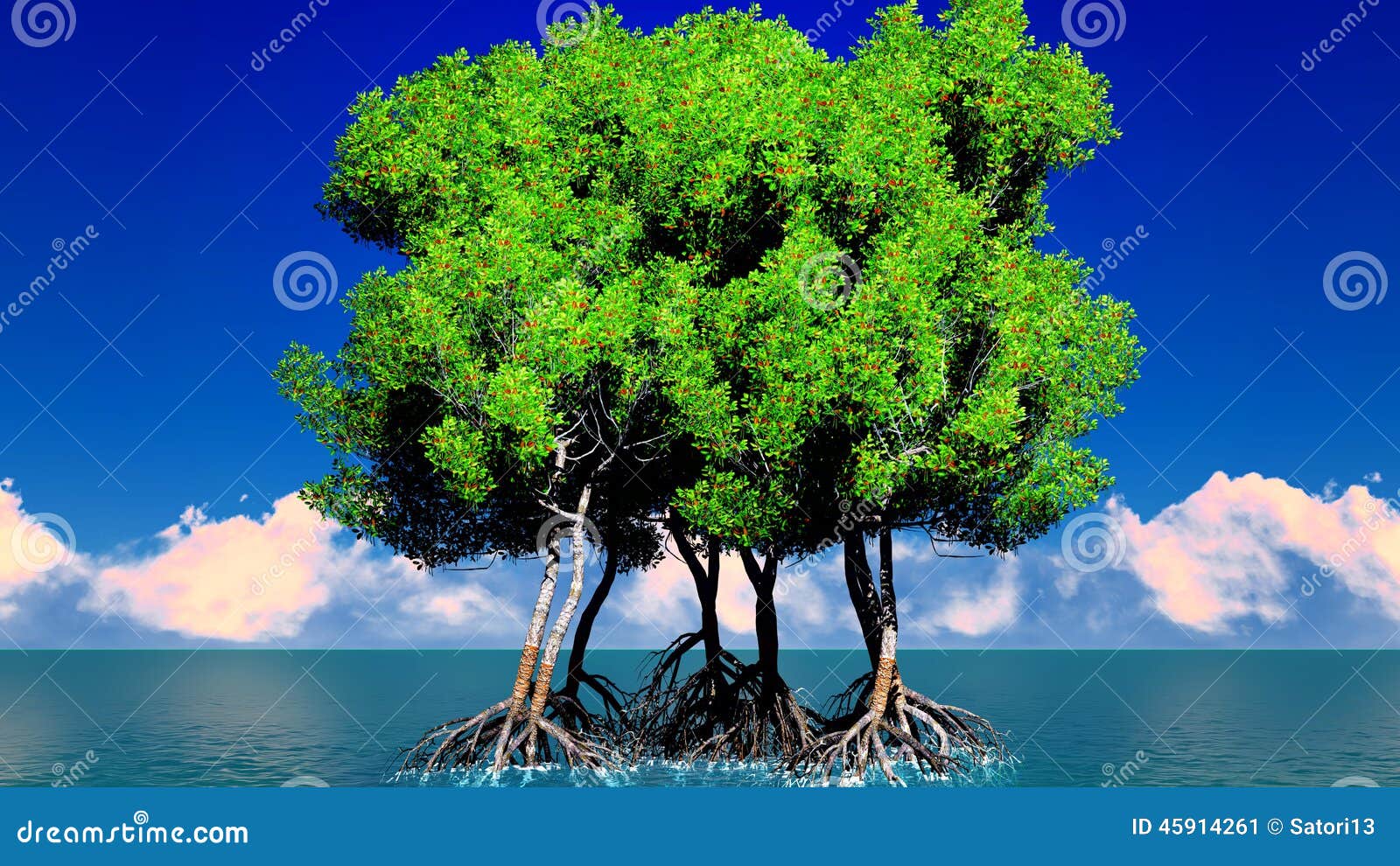 Red mangroves stock illustration. Illustration of lagoon - 45914261