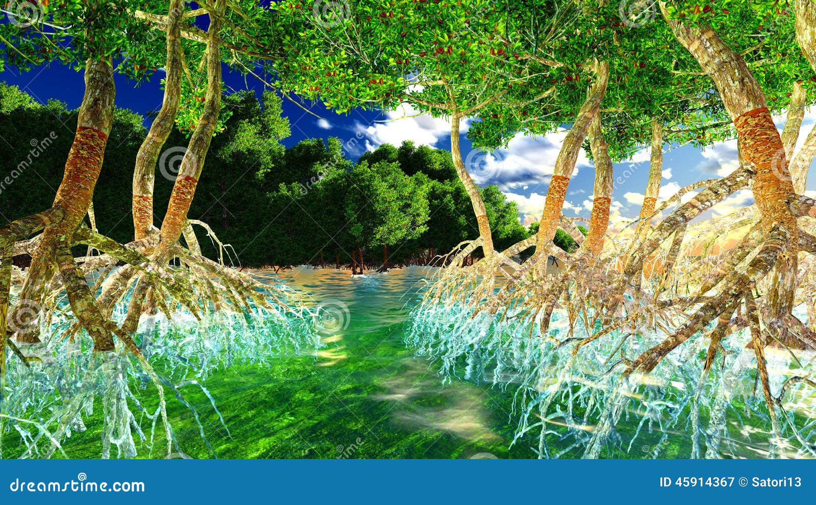 Red mangroves stock illustration. Illustration of marshland - 45914367