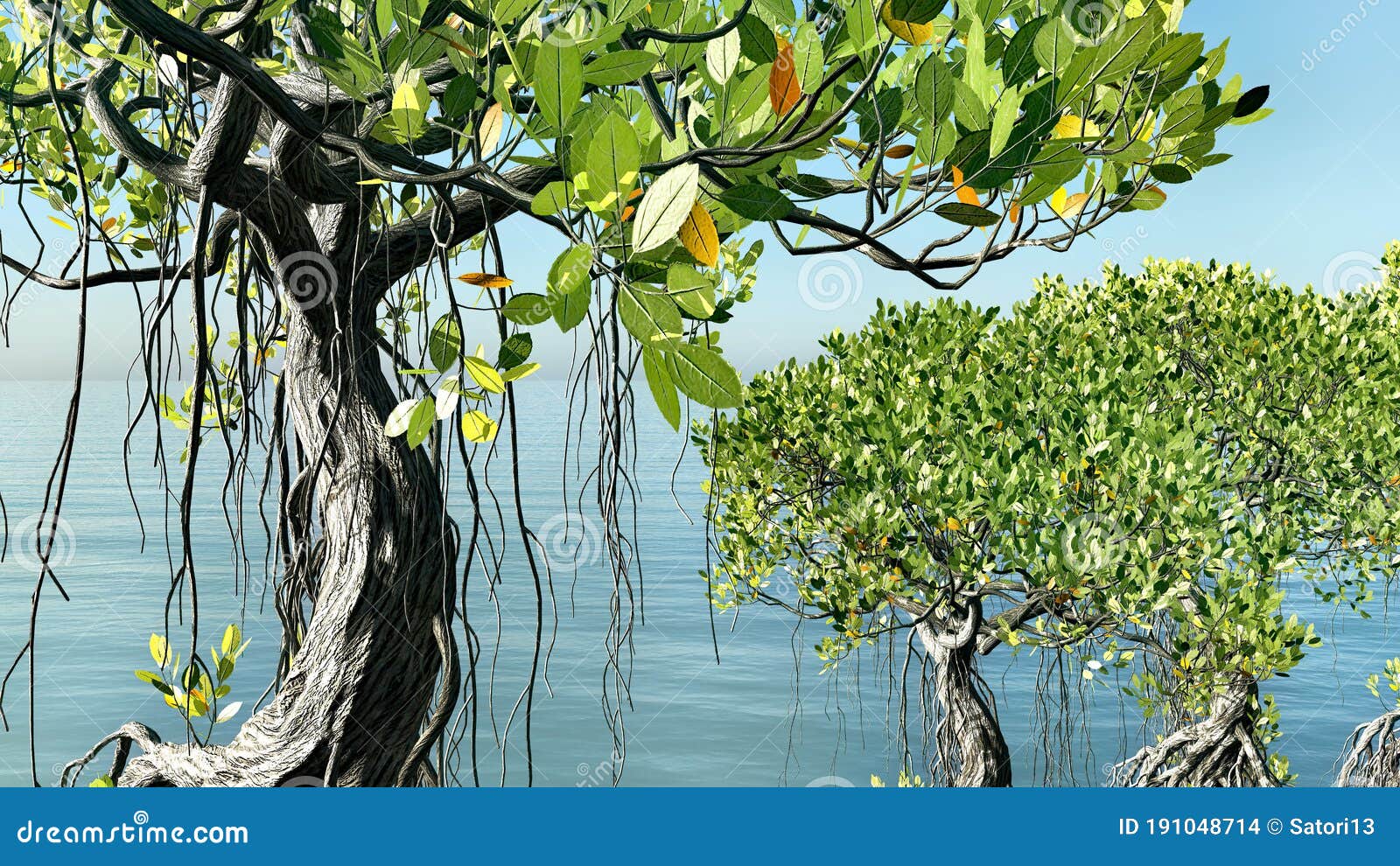 Red Mangroves on Florida Coast 3d Rendering Stock Illustration ...
