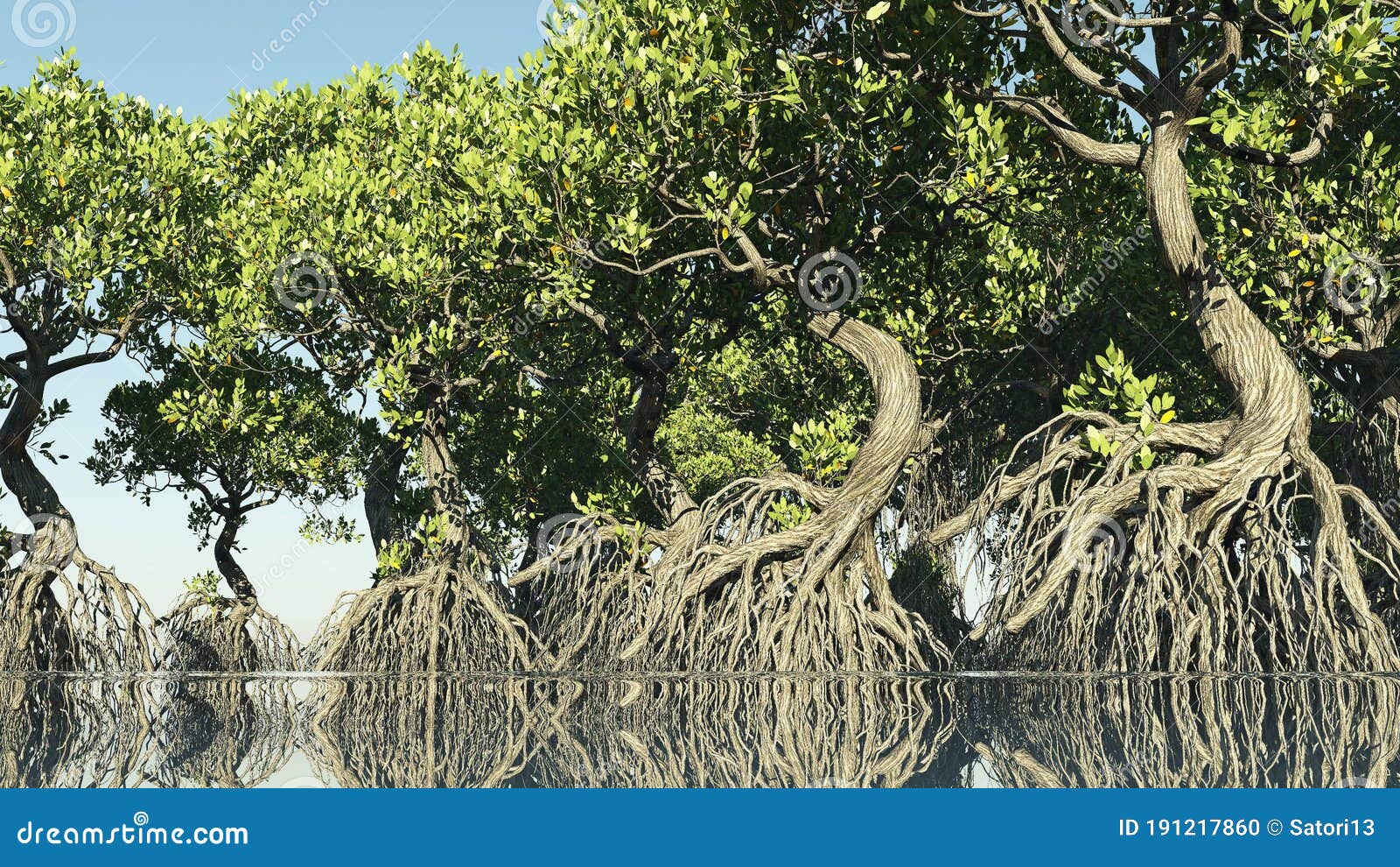 Red Mangroves on Florida Coast 3d Rendering Stock Illustration ...