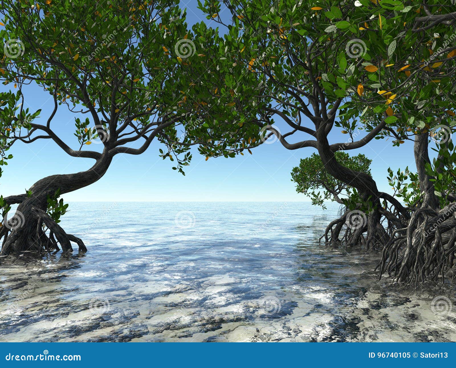 Red Mangroves on Florida Coast 3d Rendering Stock Illustration ...
