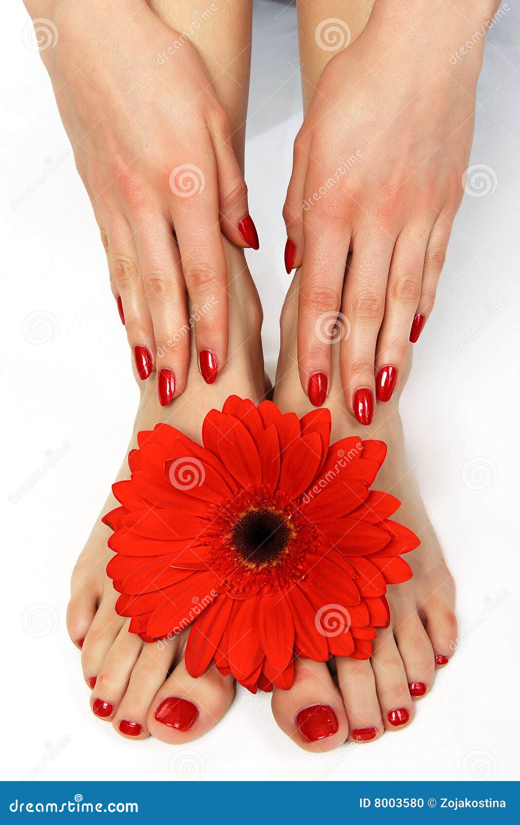 Red Manicure and Pedicure with Flower Stock Photo - Image of fresh ...