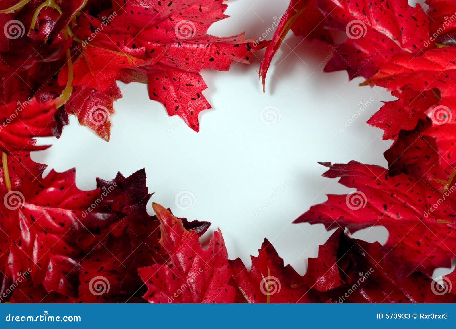 Red Maple Frame stock image. Image of decorate, frame, black - 673933
