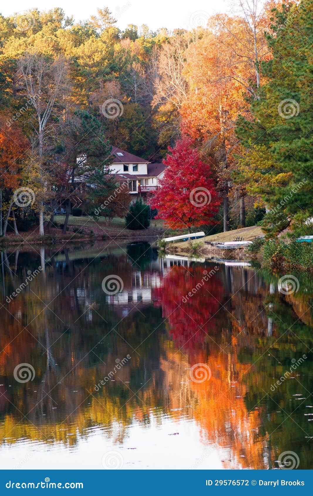 Red Maple and House Reflected Stock Photo - Image of nature, residence ...