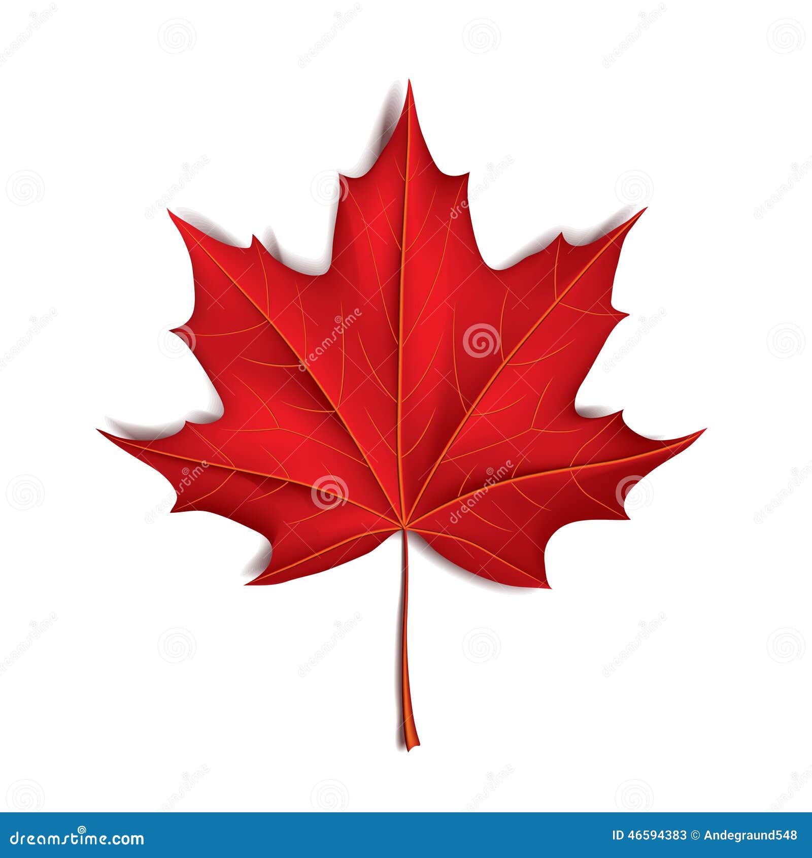 Red Maple Leaf Isolated on White Vector Stock Vector - Illustration of ...
