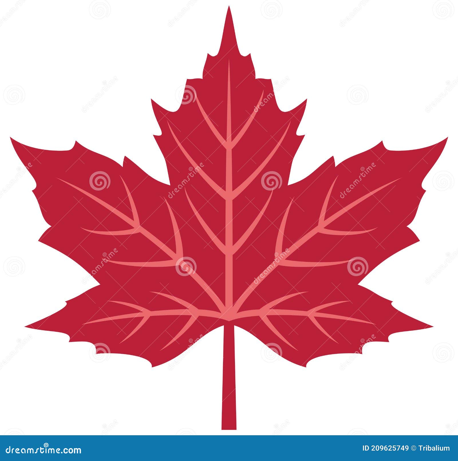 Red Maple Leaf Vector Illustration Stock Illustration - Illustration of design, plant: 209625749