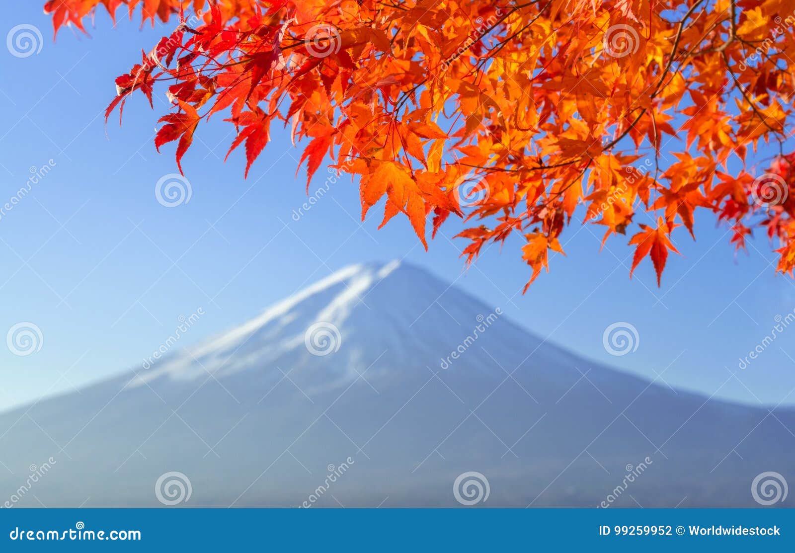 Mt.Fuji In Autumn On Sunrise At Lake Kawaguchiko Japan. Mount Fuji ...