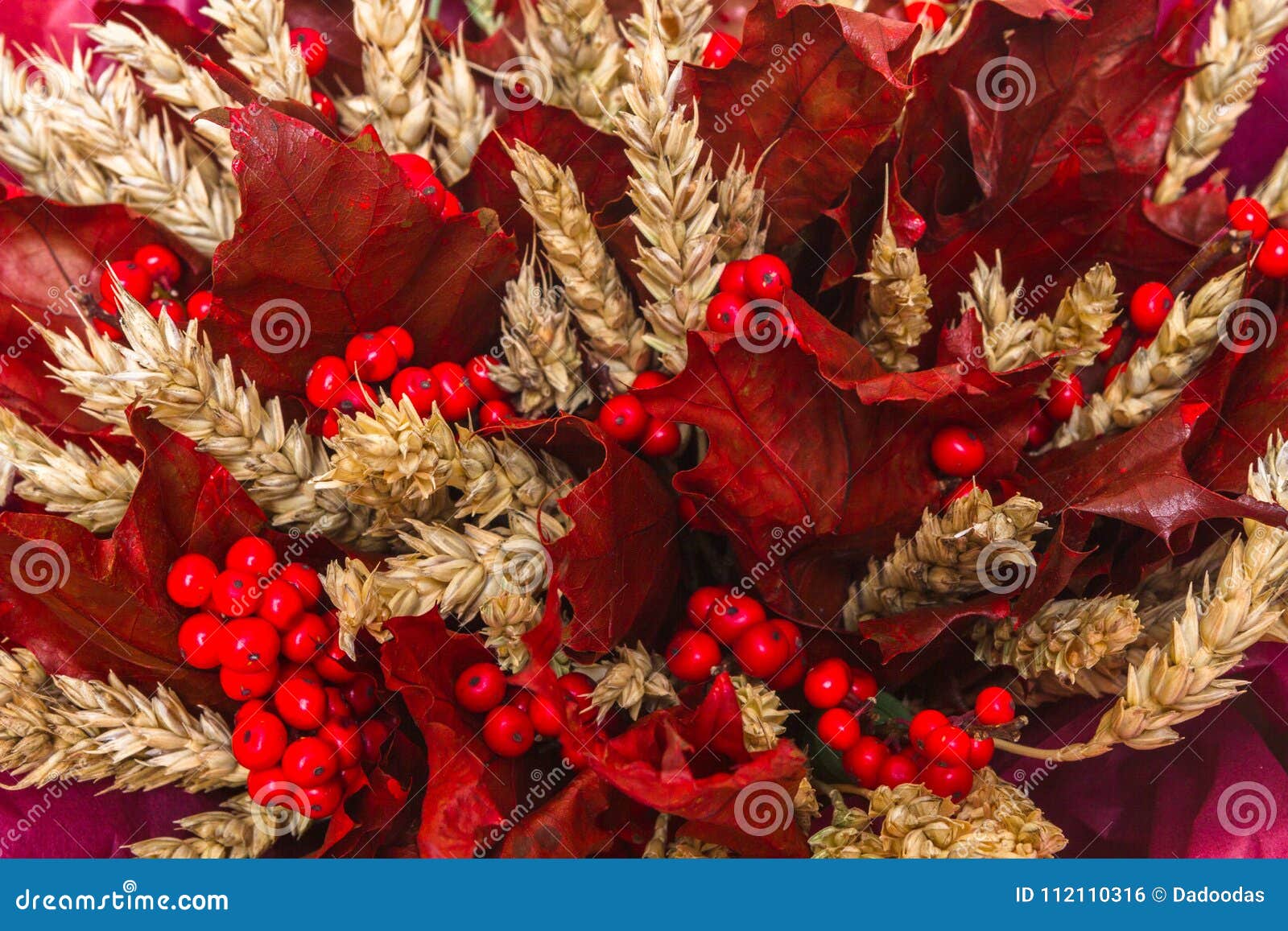 Bouquet Composition. Red Maple Leaves with Wheat Ears. Stock Photo ...
