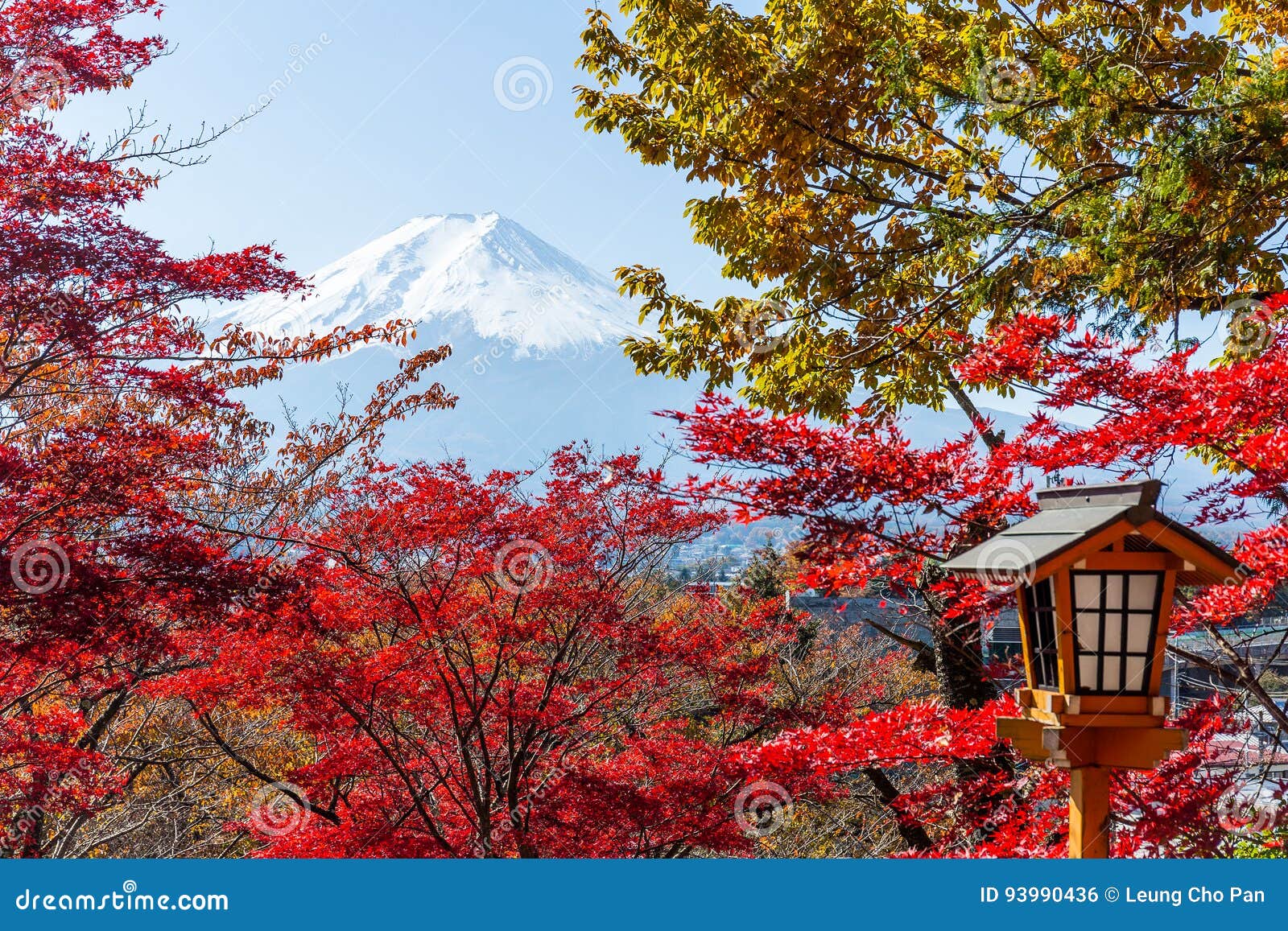 Red Maple Tree and Mount Fuji Stock Photo - Image of blue, mountain ...