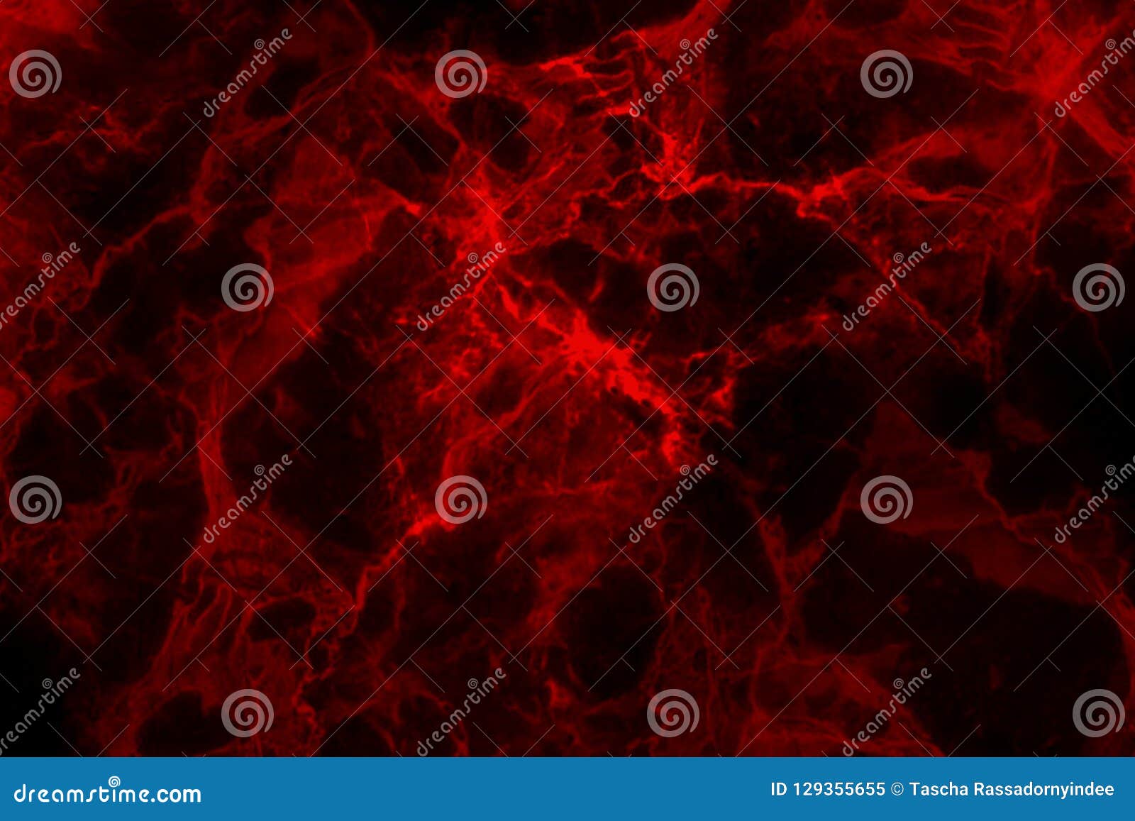 Red Calacatta Marble Texture of a Natural White and Grey Stone Tile ...