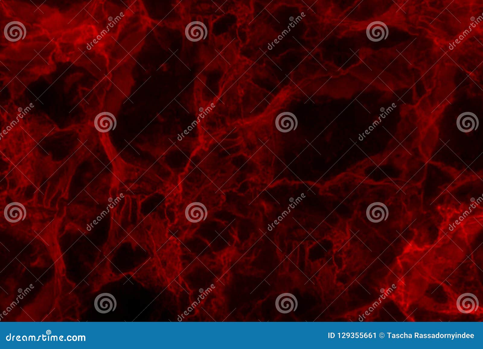 Red Calacatta Marble Texture of a Natural White and Grey Stone Tile ...