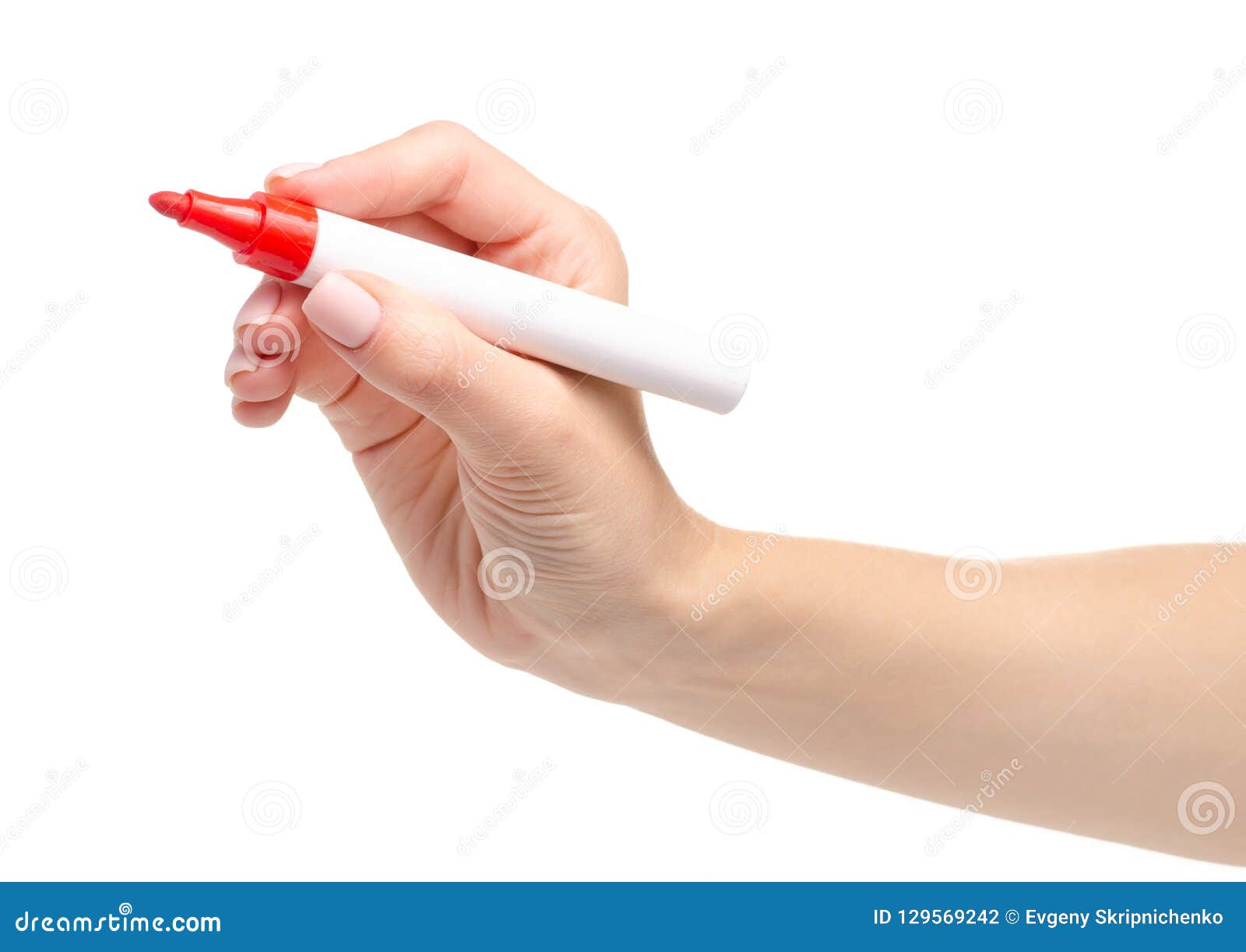 Red marker in hand stock photo. Image of message, communication - 129569242