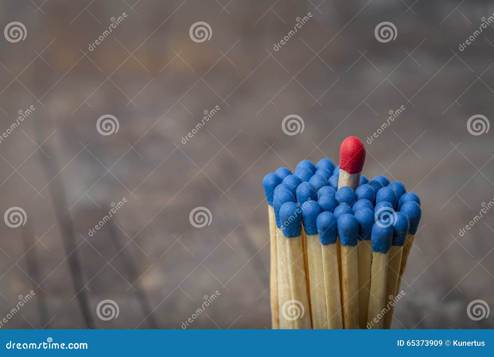 Red Match in Group of Blue Matches Stock Image - Image of metaphor ...