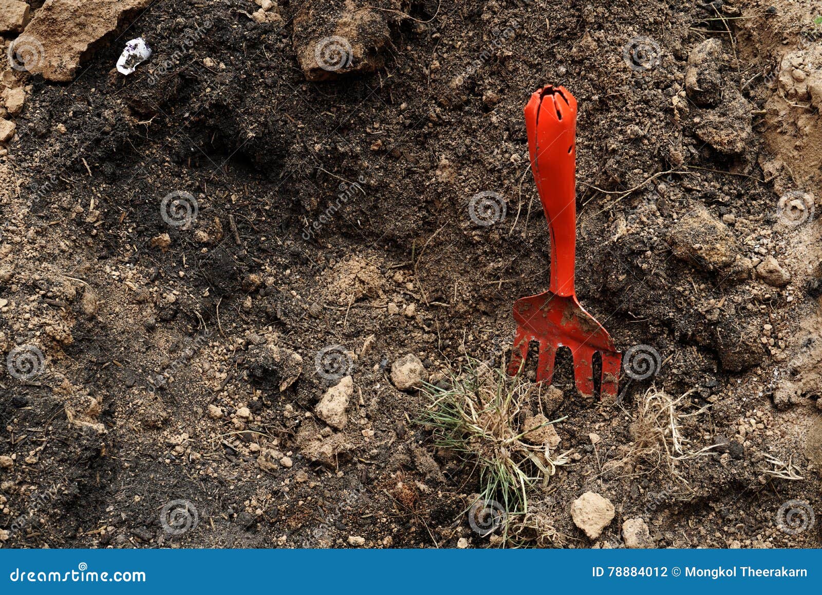 Red Mattock on Soil in Afternoon Light Stock Photo - Image of healthy ...
