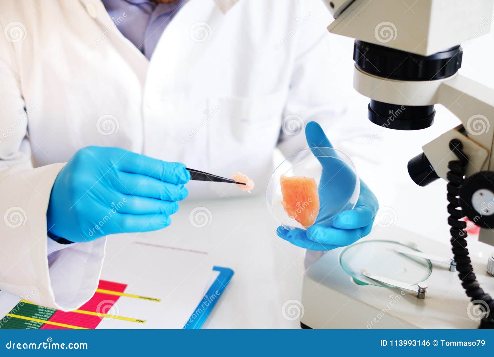 Red Meat Sample in Scientist Hands in Quality Control Laboratory Stock ...