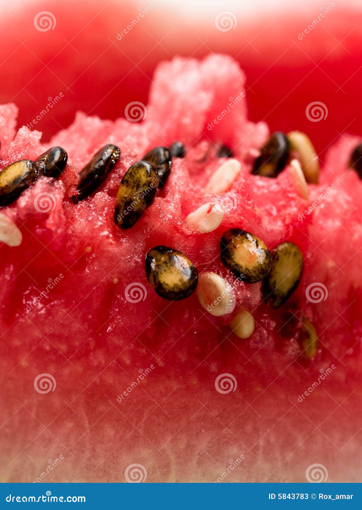 Red melon stock image. Image of tasty, color, fruit, macro - 5843783