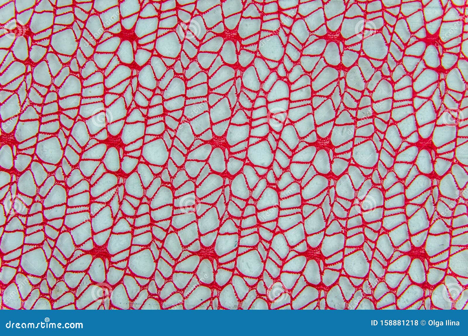 Red Mesh Background on a White Background Stock Photo - Image of flow ...