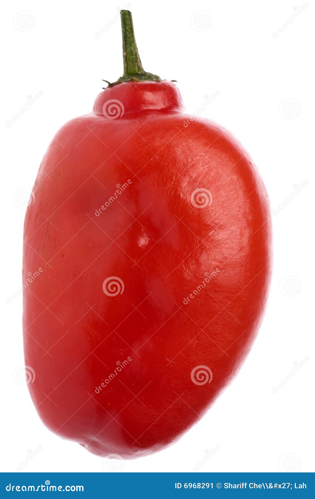 Red Mexican Chilli Macro stock image. Image of isolated - 6968291