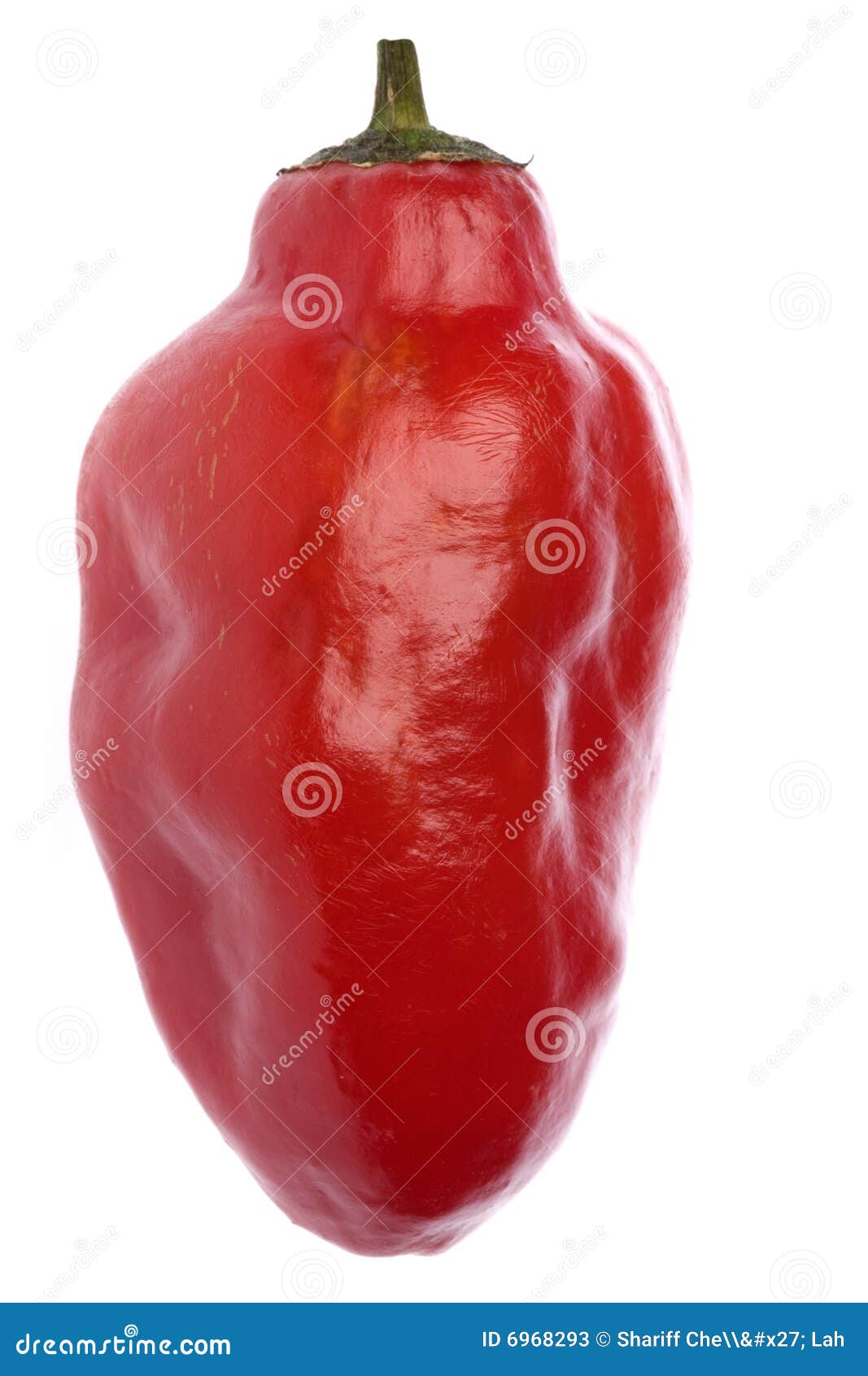 Red Mexican Chilli Macro stock image. Image of chili, peppers - 6968293