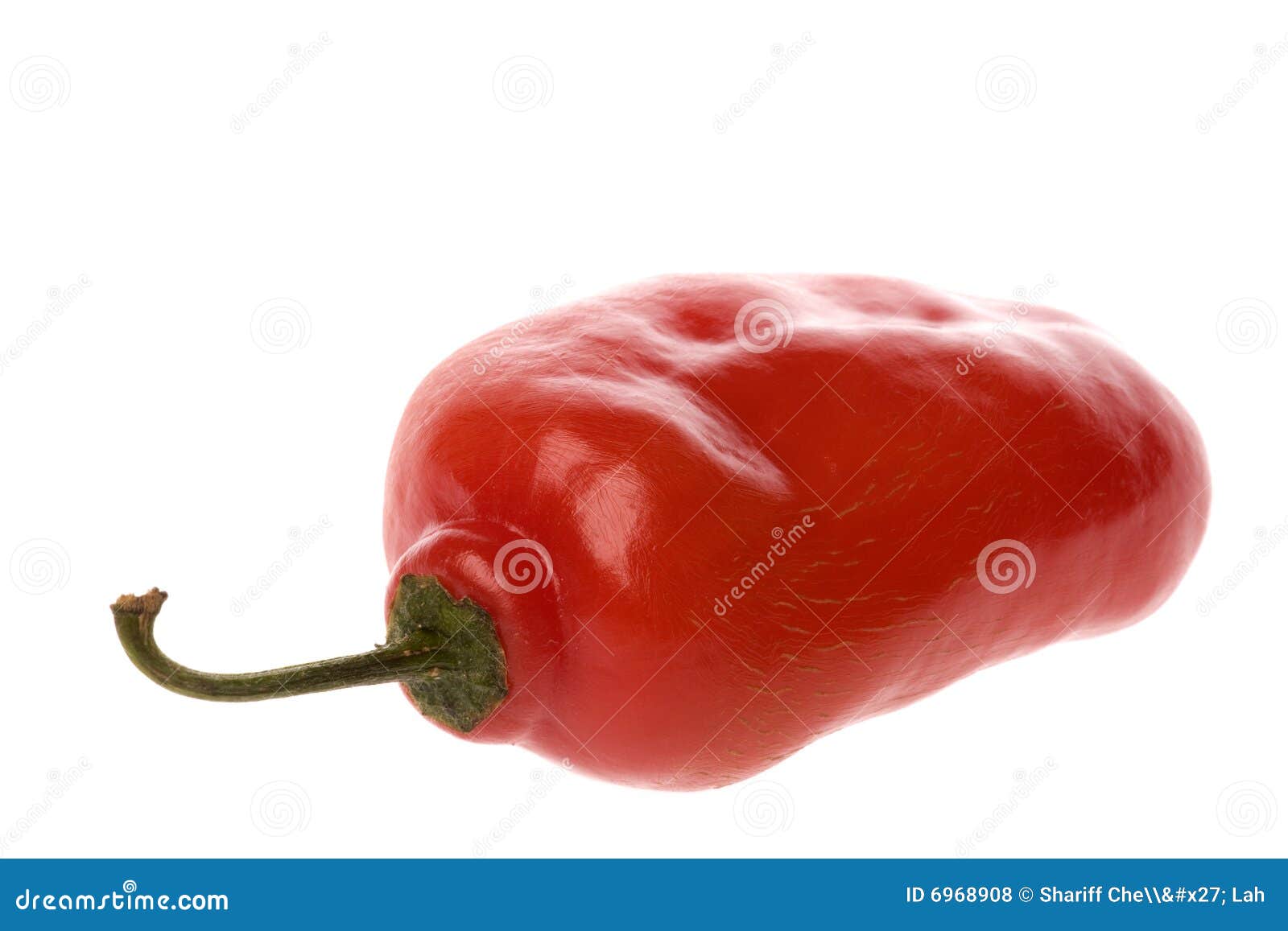 Red Mexican Chilli Macro stock photo. Image of chillies - 6968908